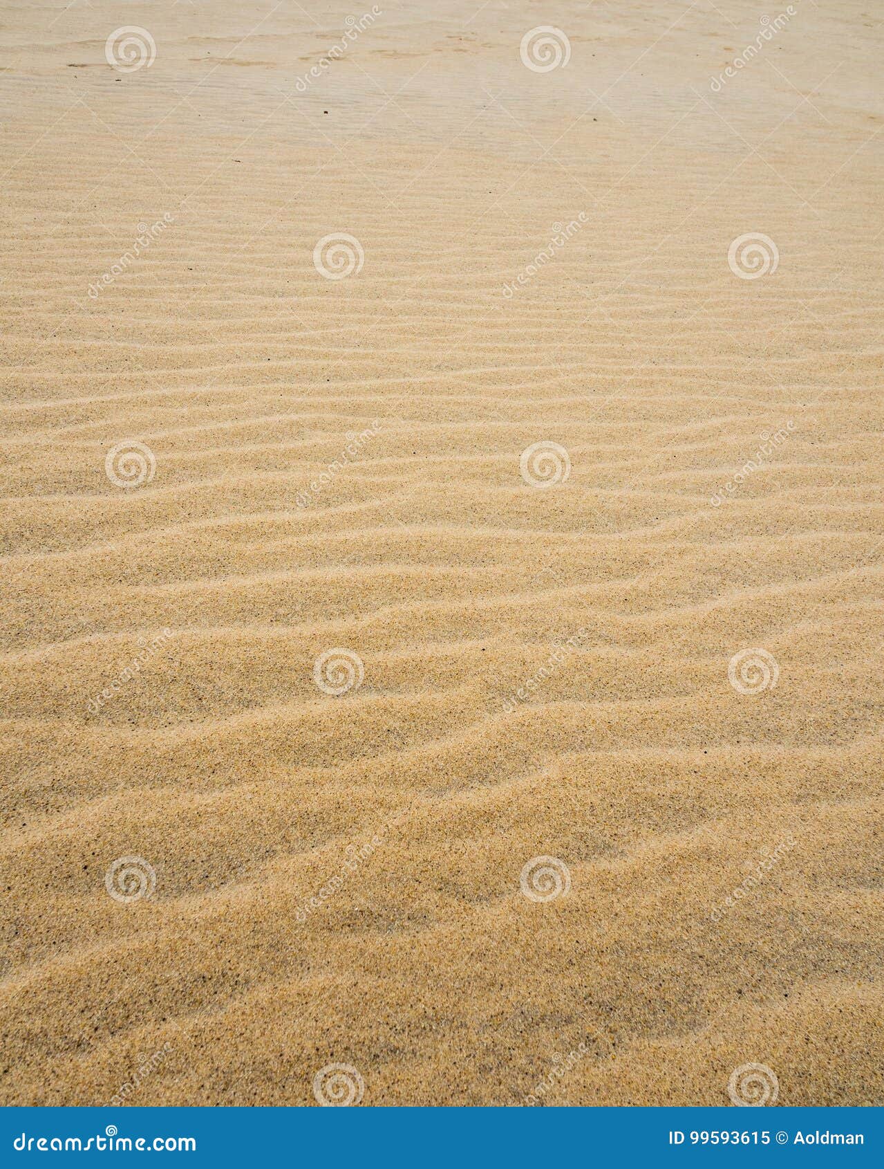 Textured sandy surface stock image. Image of surface - 99593615