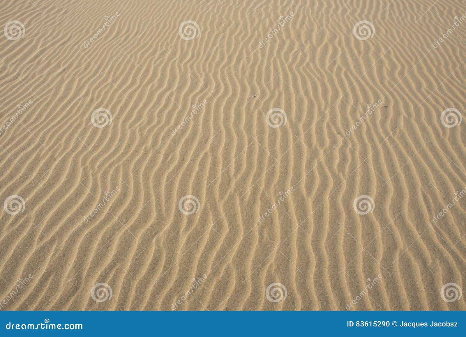 Textured Sea Sand from Above Stock Photo - Image of texture, beach ...