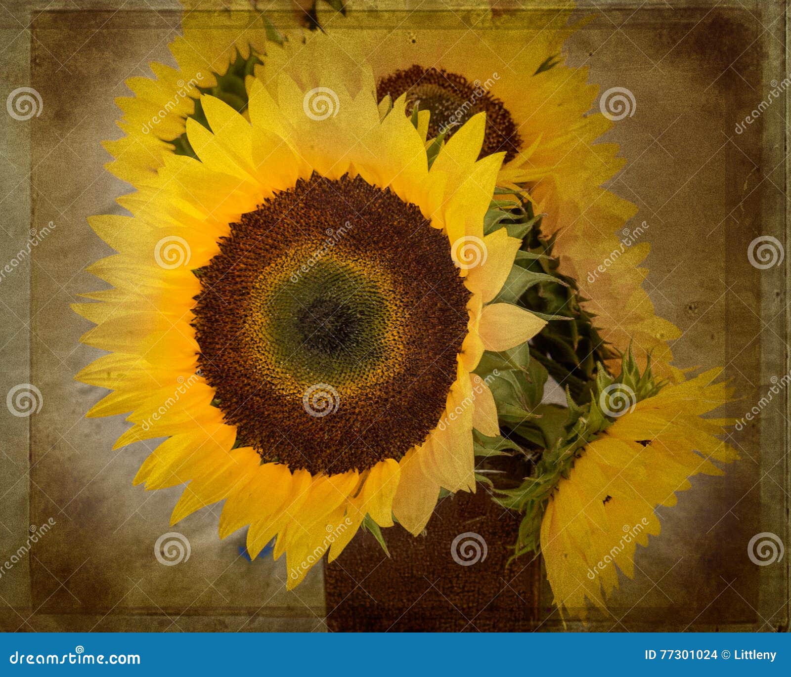 Textured Sunflowers stock photo. Image of texture, rustic - 77301024