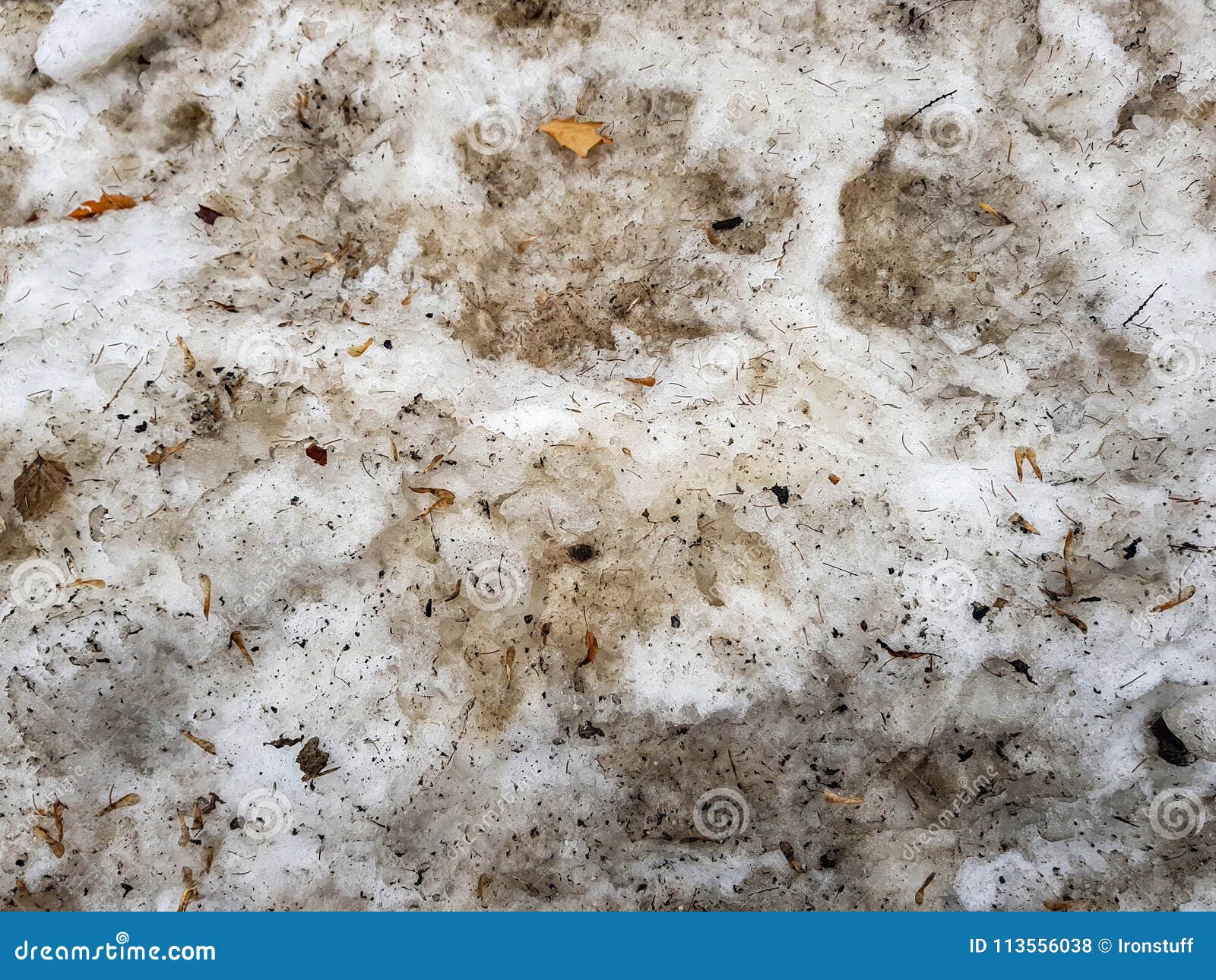 Texture of dirty snow stock photo. Image of environment - 113556038