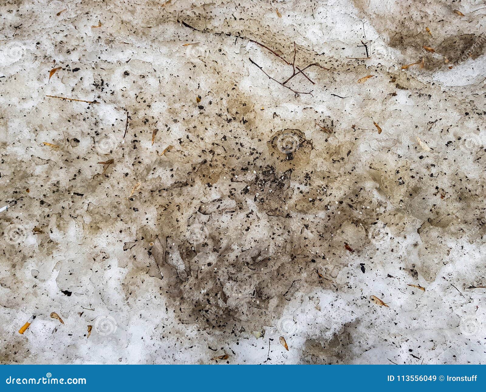 Texture of dirty snow stock image. Image of snowdrift - 113556049