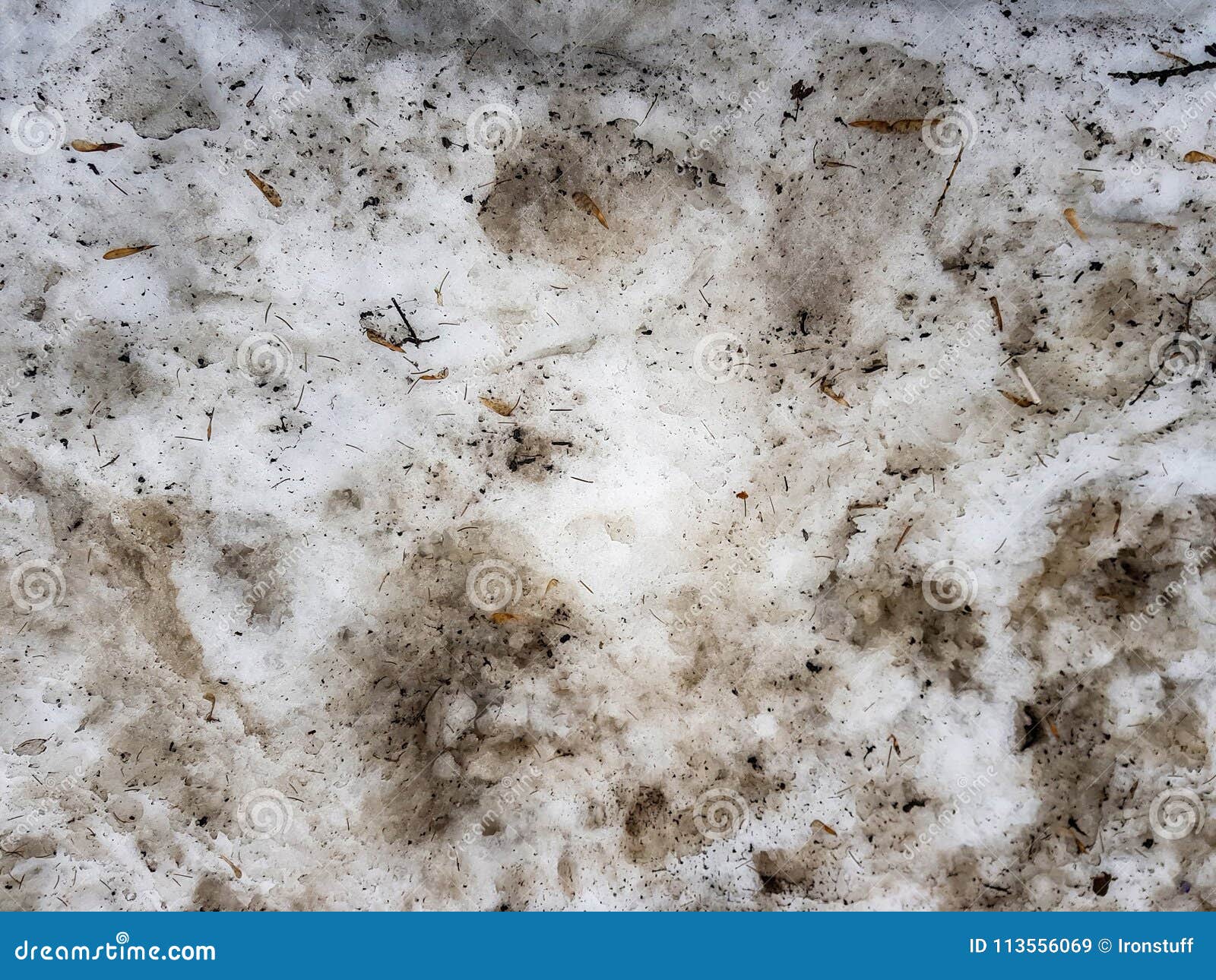 Texture of dirty snow stock image. Image of coarse, background - 113556069