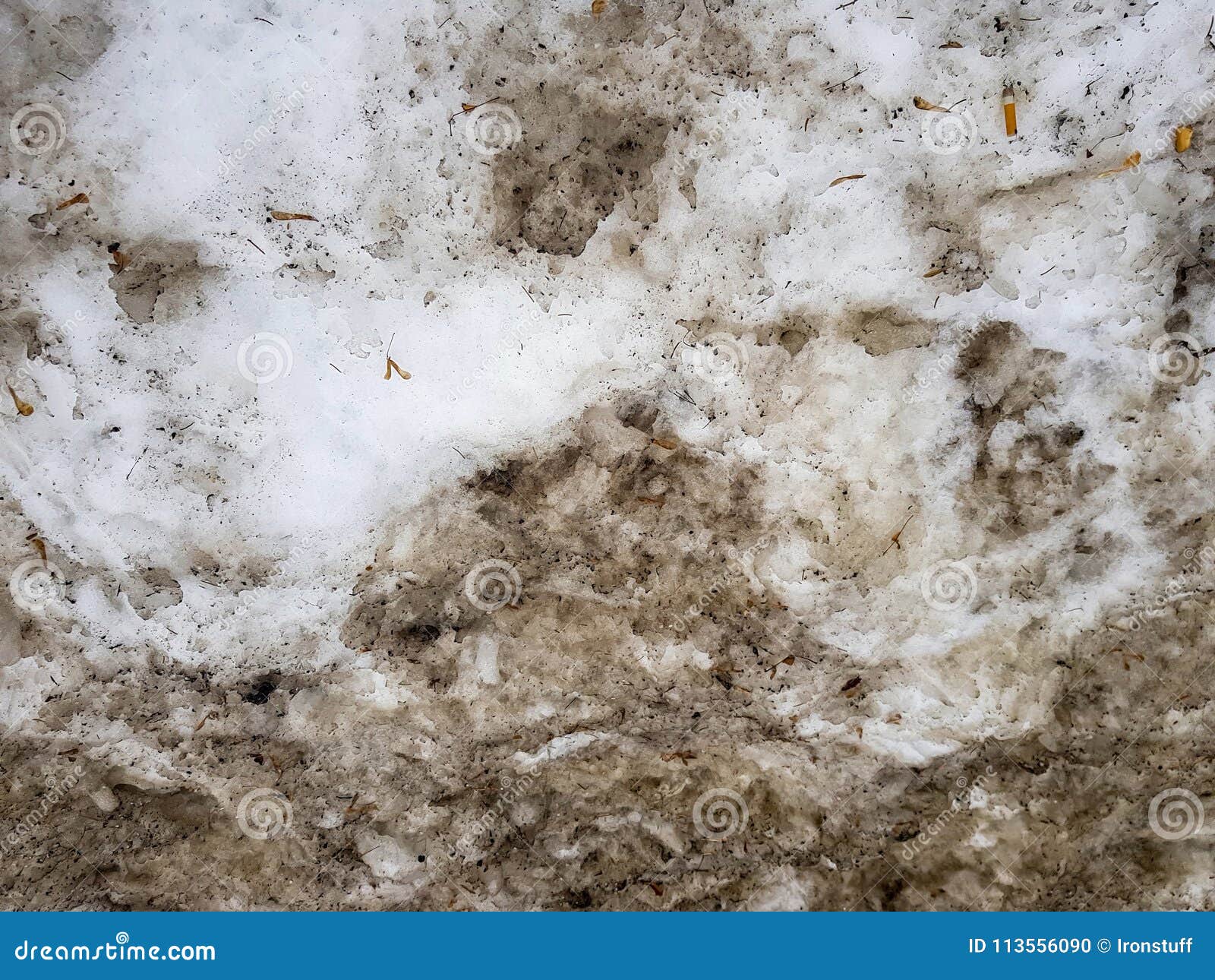 Texture of dirty snow stock photo. Image of backdrop - 113556090