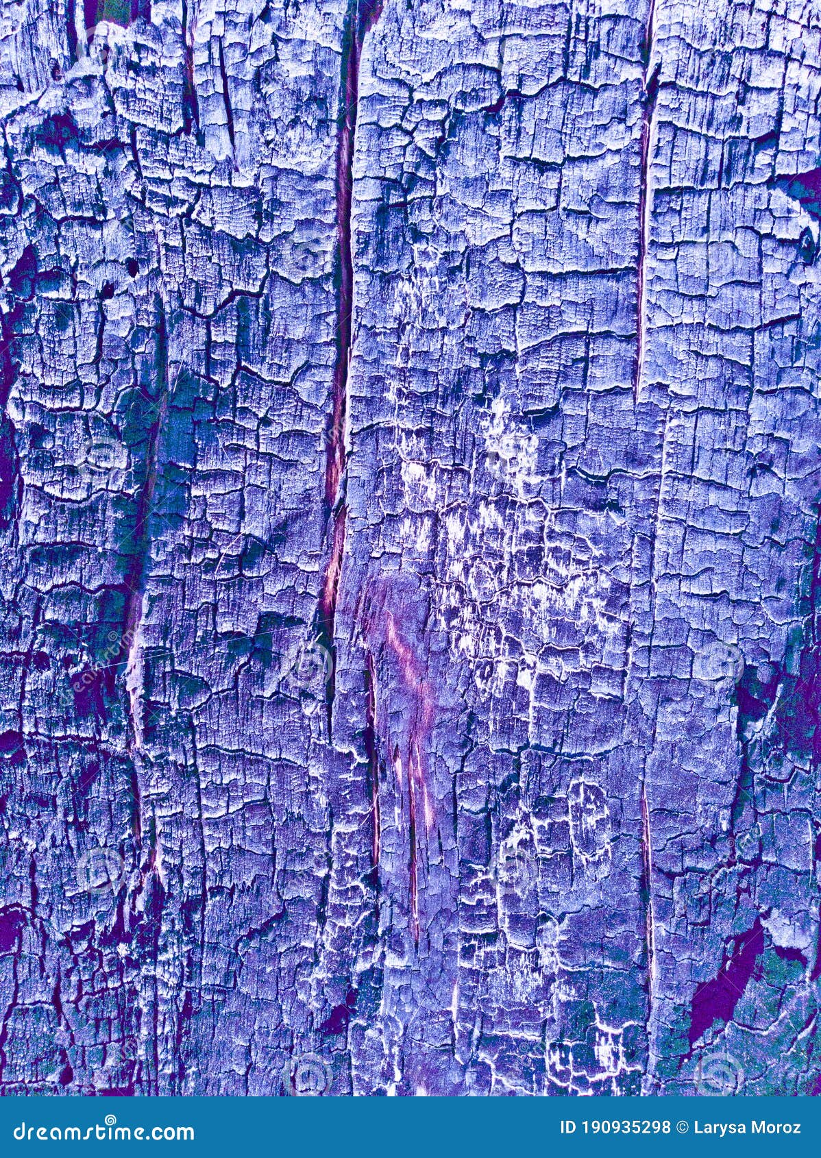 Charred Wood Surface with a Silvery and Fluorescent Hue. Stock Photo ...