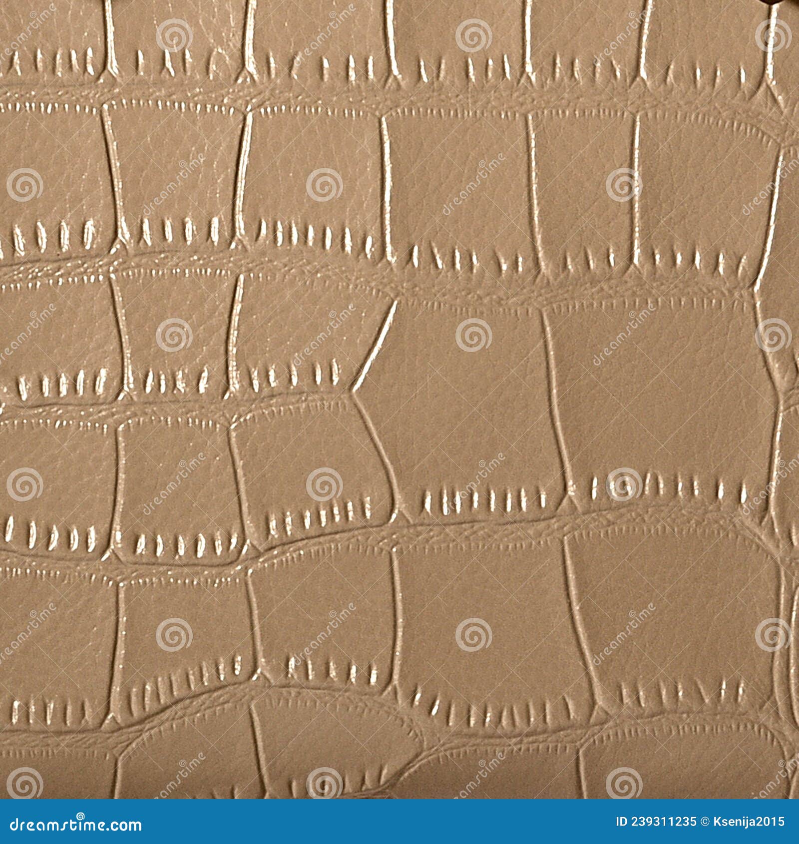 Textured Texture Genuine Leather. Background. Square Size. Stock Image ...