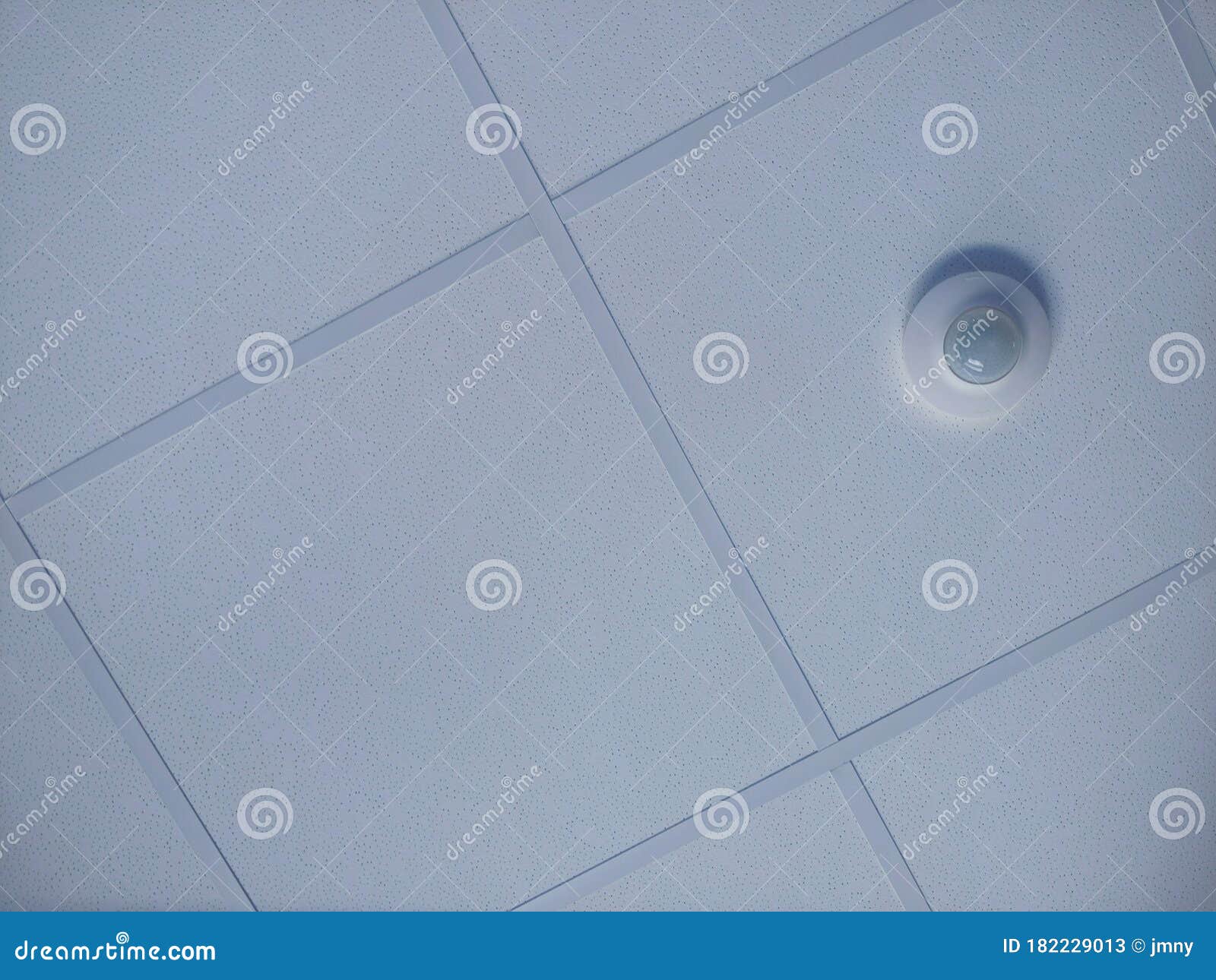 Textured Tiles and Motion Sensor in the T-bar Grid of a Suspended ...