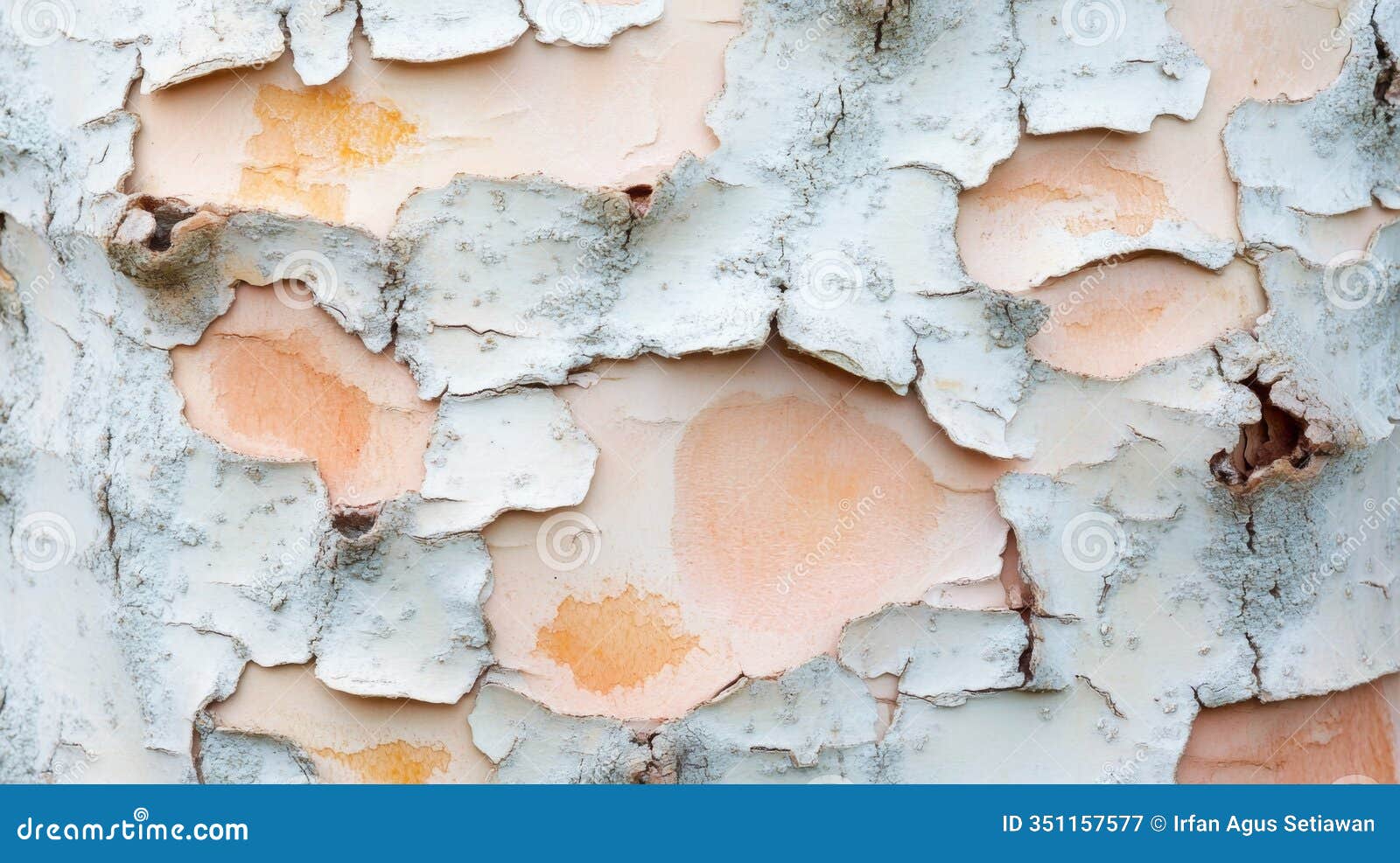 Textured Tree Bark Showing Flaking Layers Stock Illustration ...