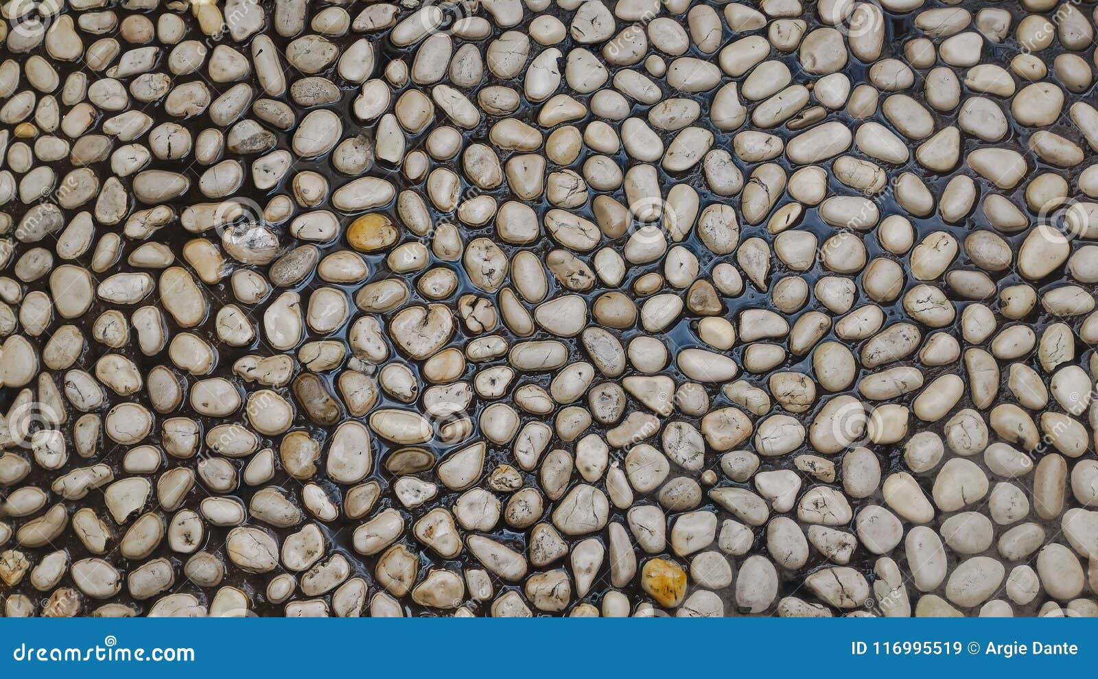 Textured Walkway Using Pebbles Stock Image - Image of pebbles, park ...