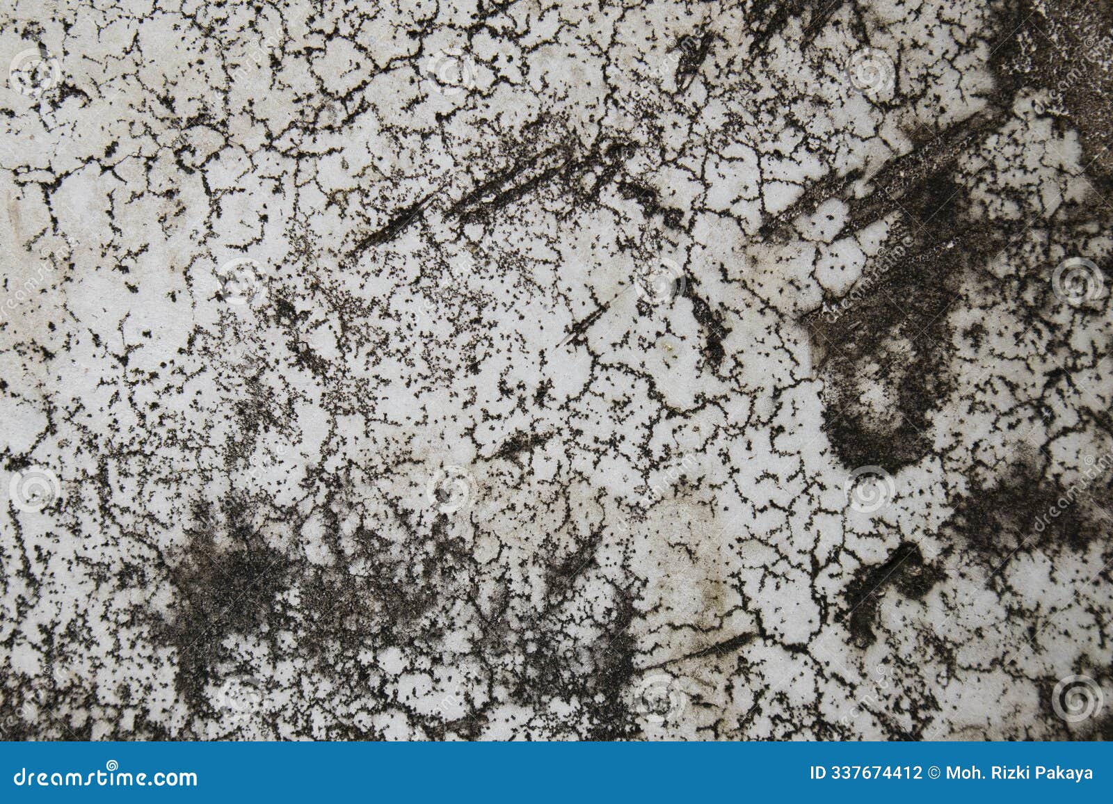 Textured Wall Background stock photo. Image of backgrounds - 337674412