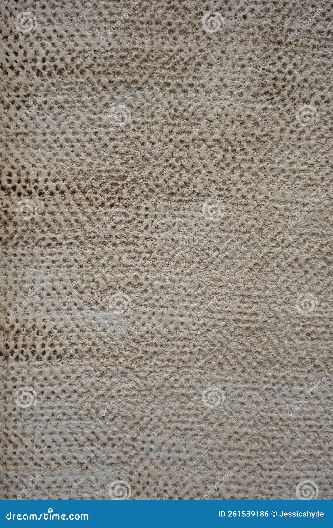 Textured Wall with Decorative Relief Plaster Finish Stock Photo - Image ...