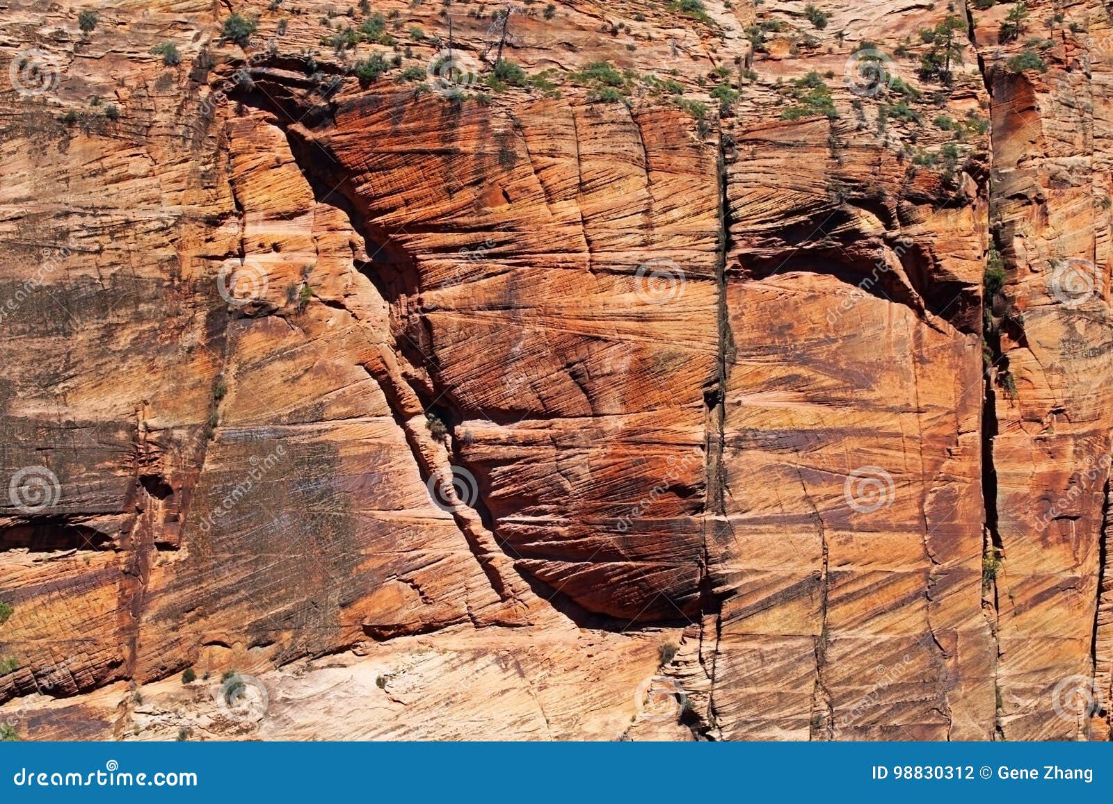Texturen Van Rode Rots in Zion National Park Stock Foto - Image of blad ...