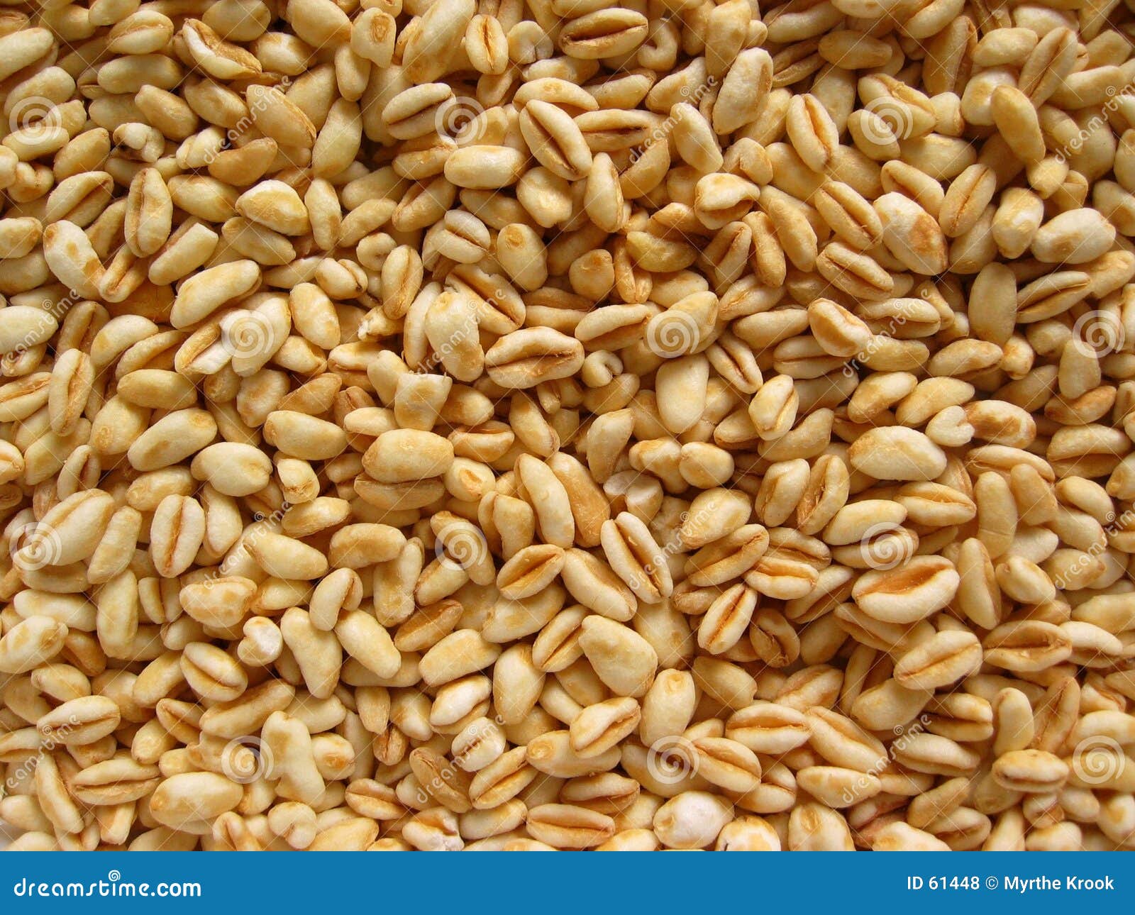 Textures de blé photo stock. Image du textures, fond, sain - 61448