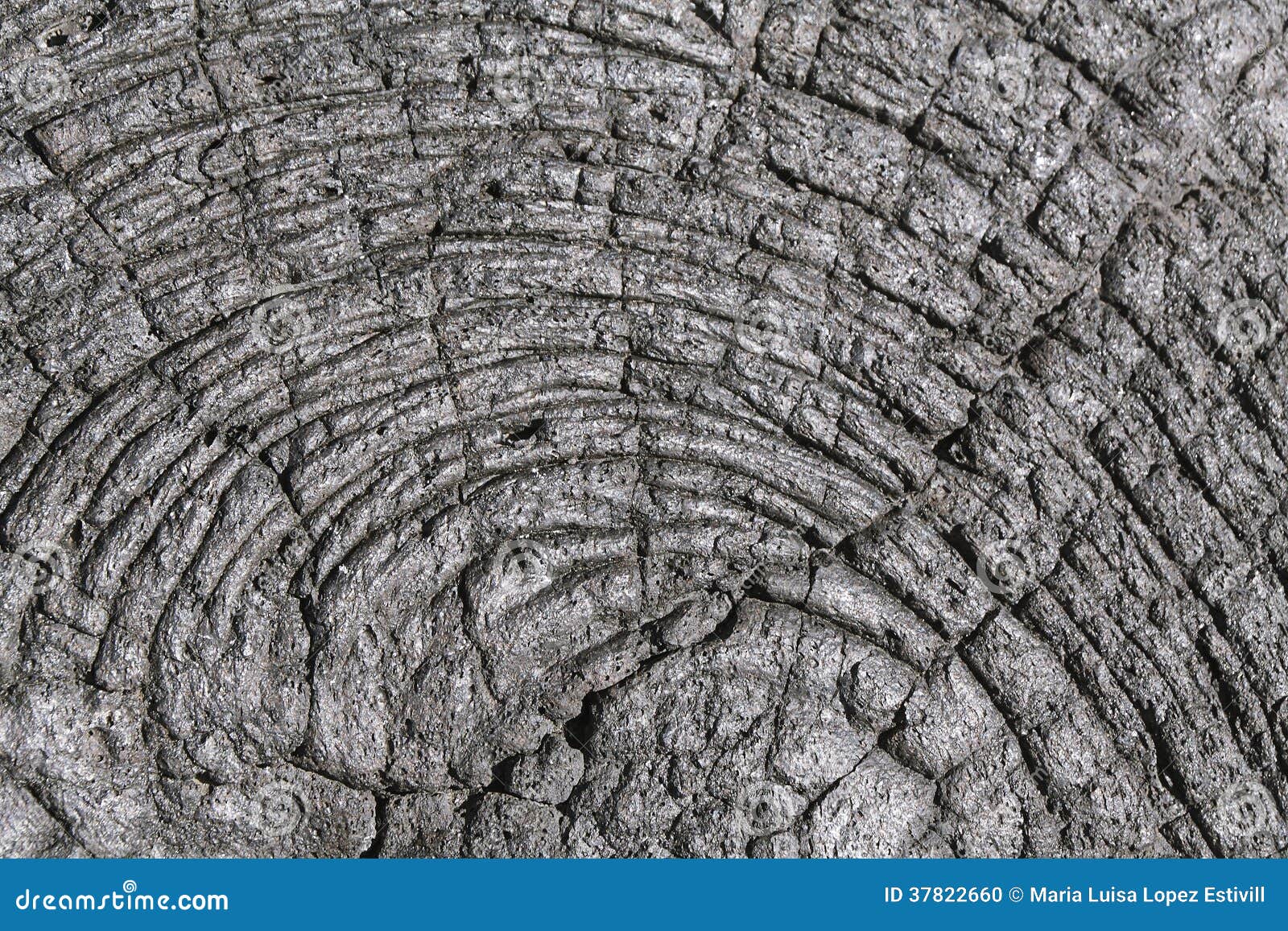 443 Hawaii Textures Photos - Free & Royalty-Free Stock Photos from ...