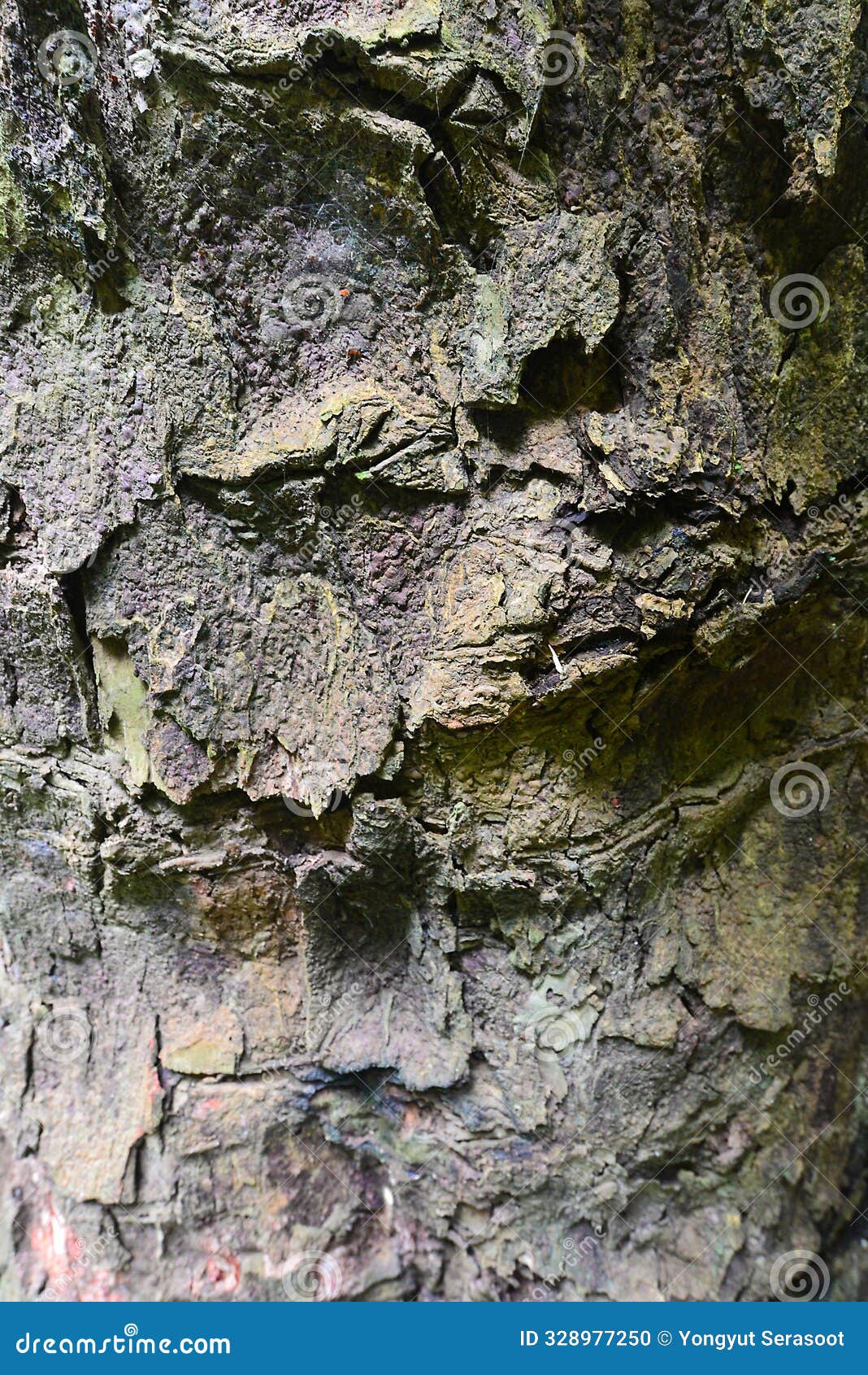 Textures and Natural Patterns Bark of Tree Trunk Stock Photo - Image of ...