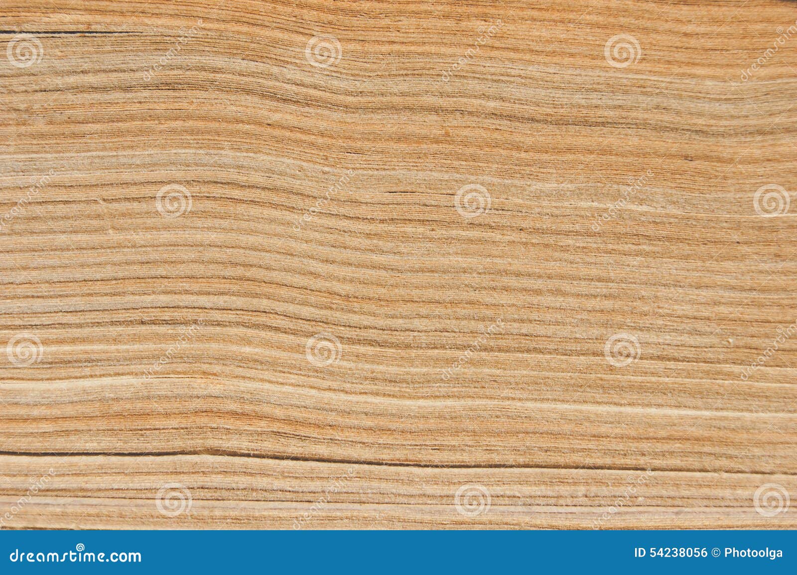 Textures Pages. Pages of a Book Stock Photo - Image of read, book: 54238056