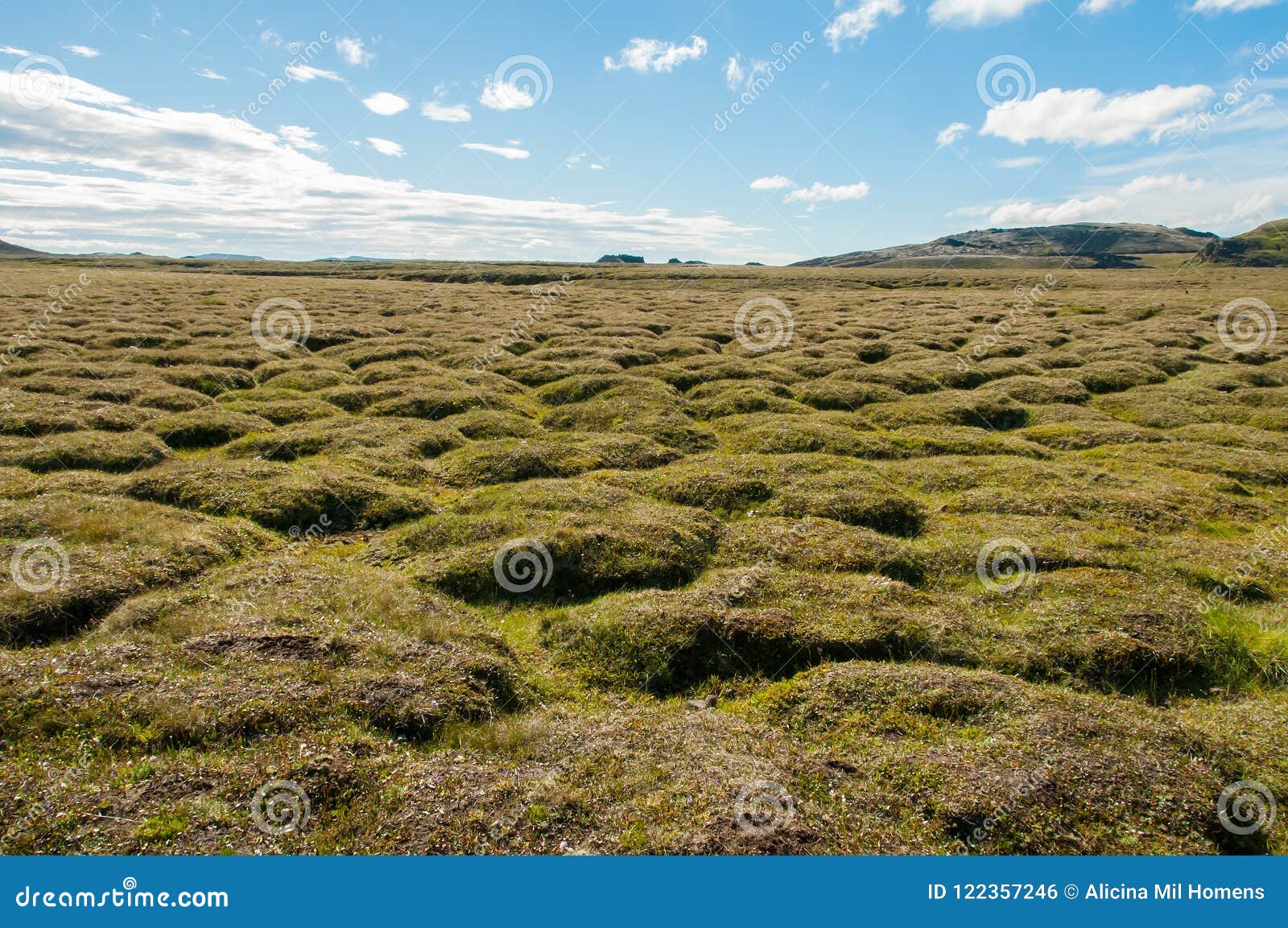 Textures and Patterns in the Beautiful Landscape of Iceland Stock Photo ...