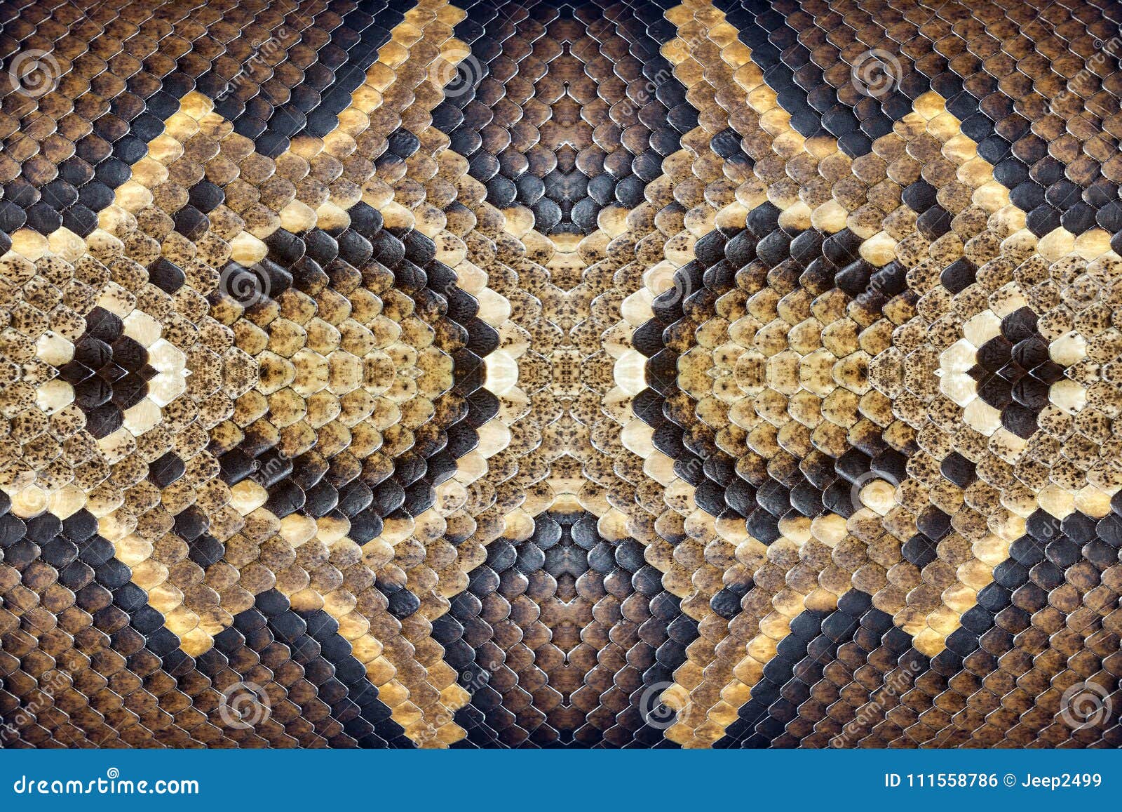 Textures and Patterns of the Boa. Stock Photo - Image of patterns ...