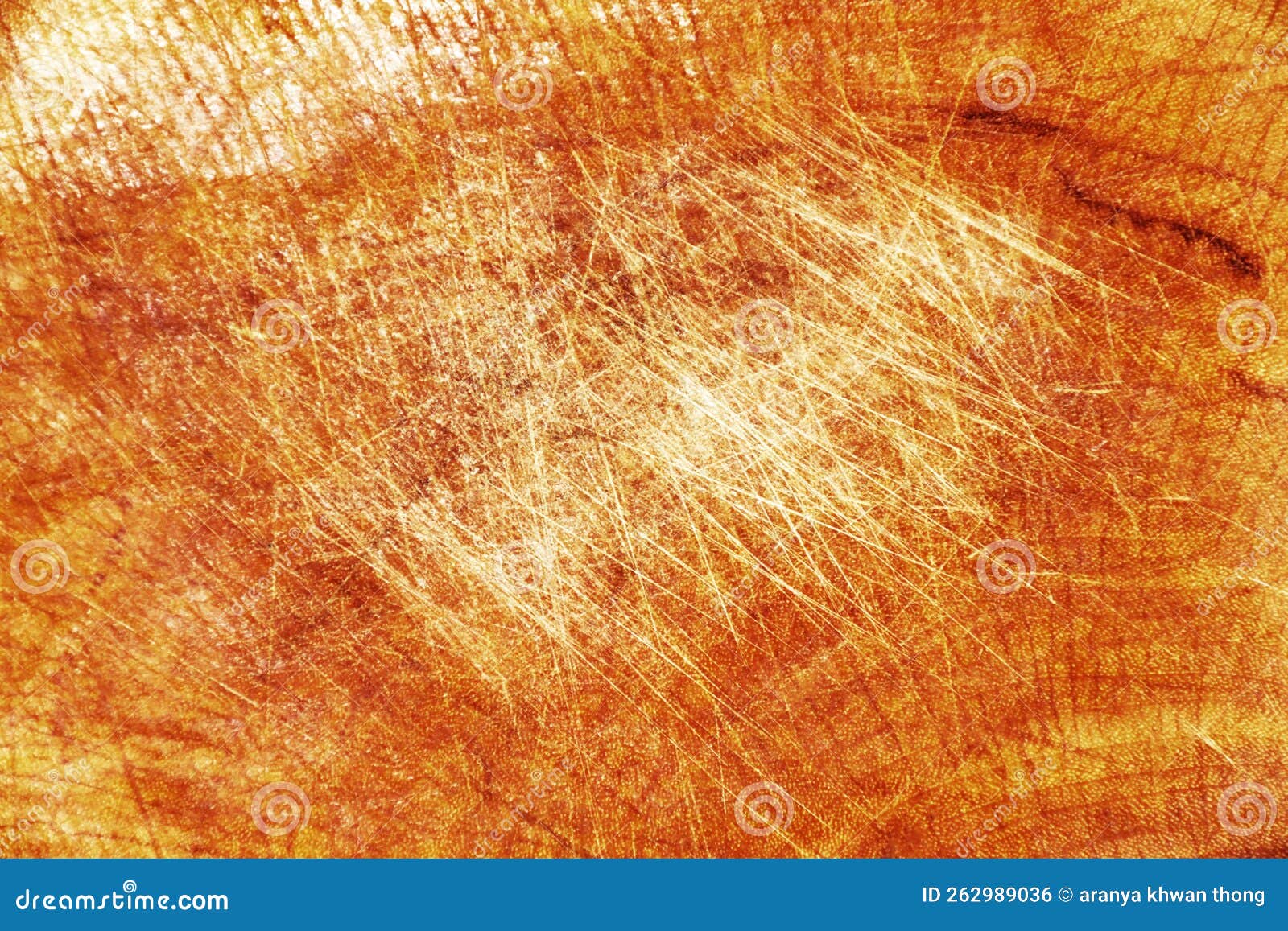 Textures and Patterns of Brown Wood with Scratch Marks are Used for ...