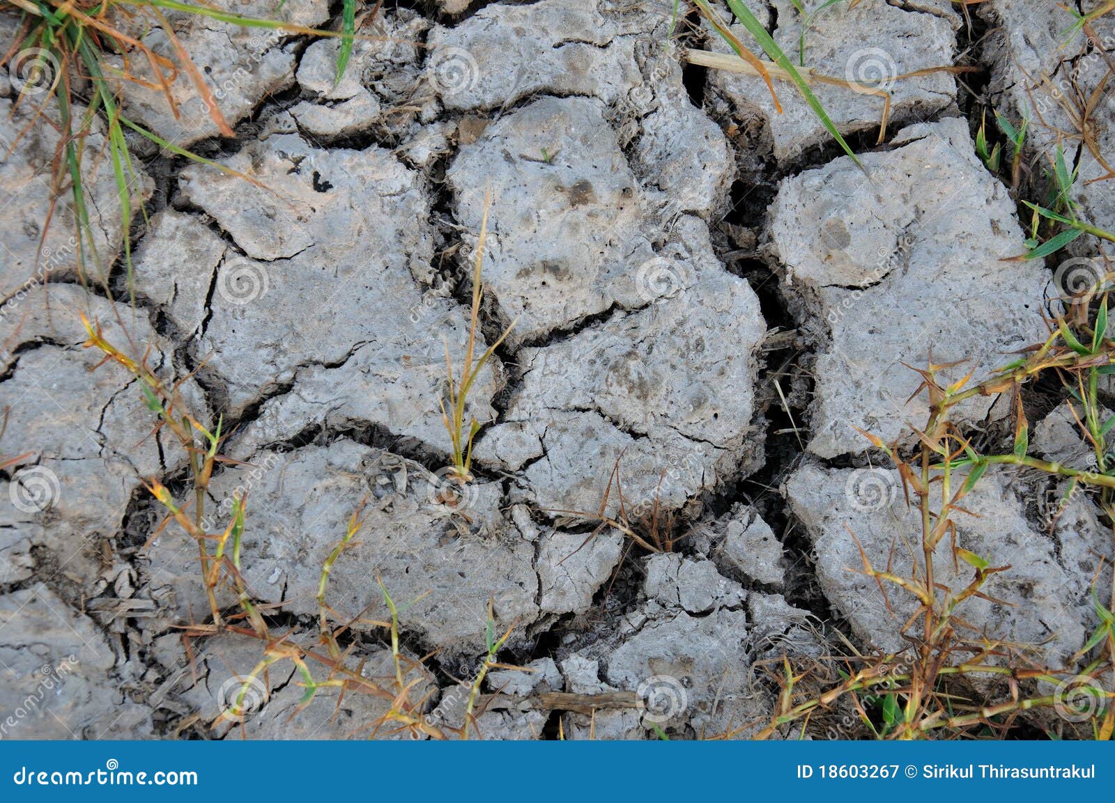 Textures and Patterns of a Cracked Dry Soil Stock Image - Image of ...