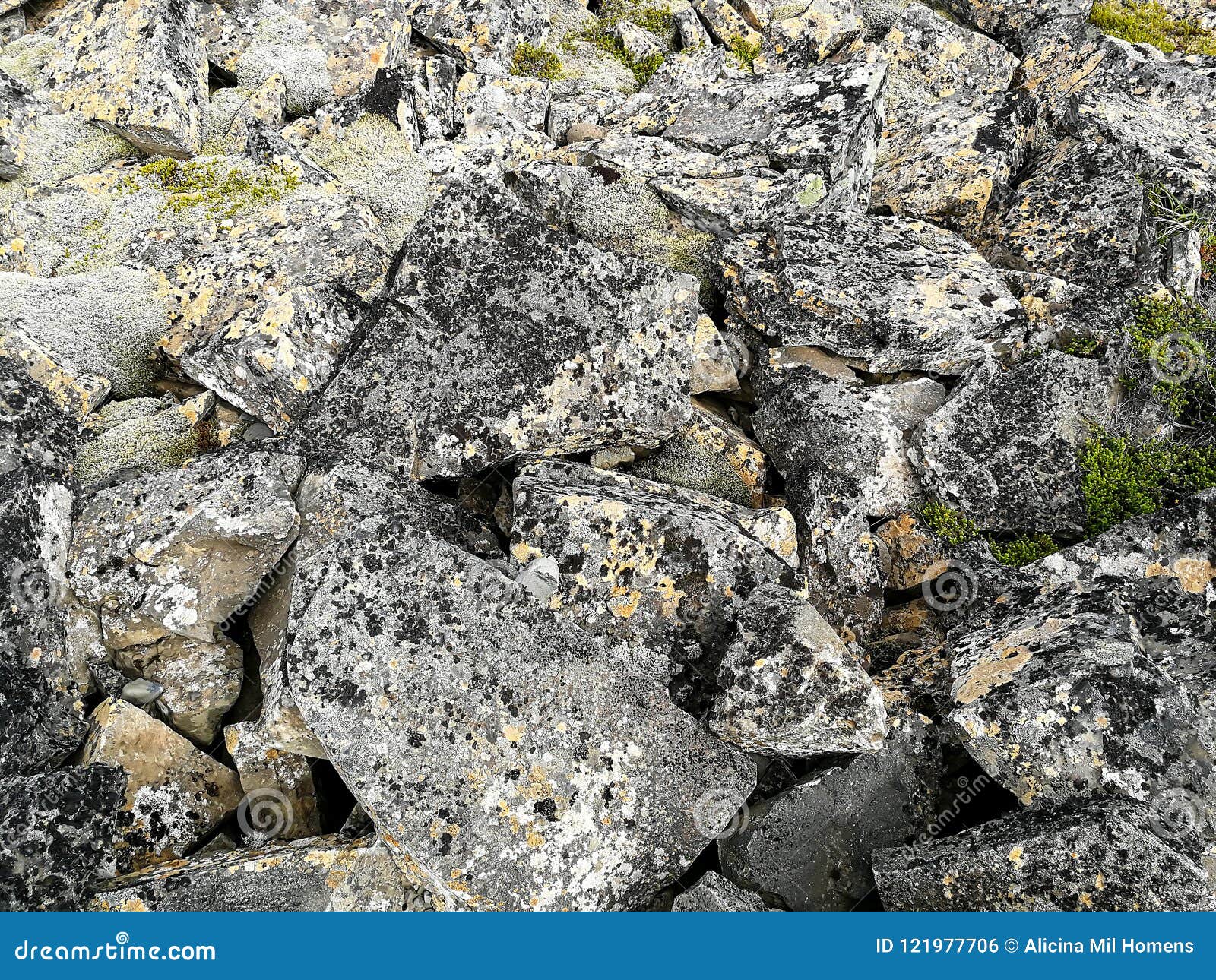 Textures and Patterns Formed by Lichen and Fungus on Stones Stock Photo ...