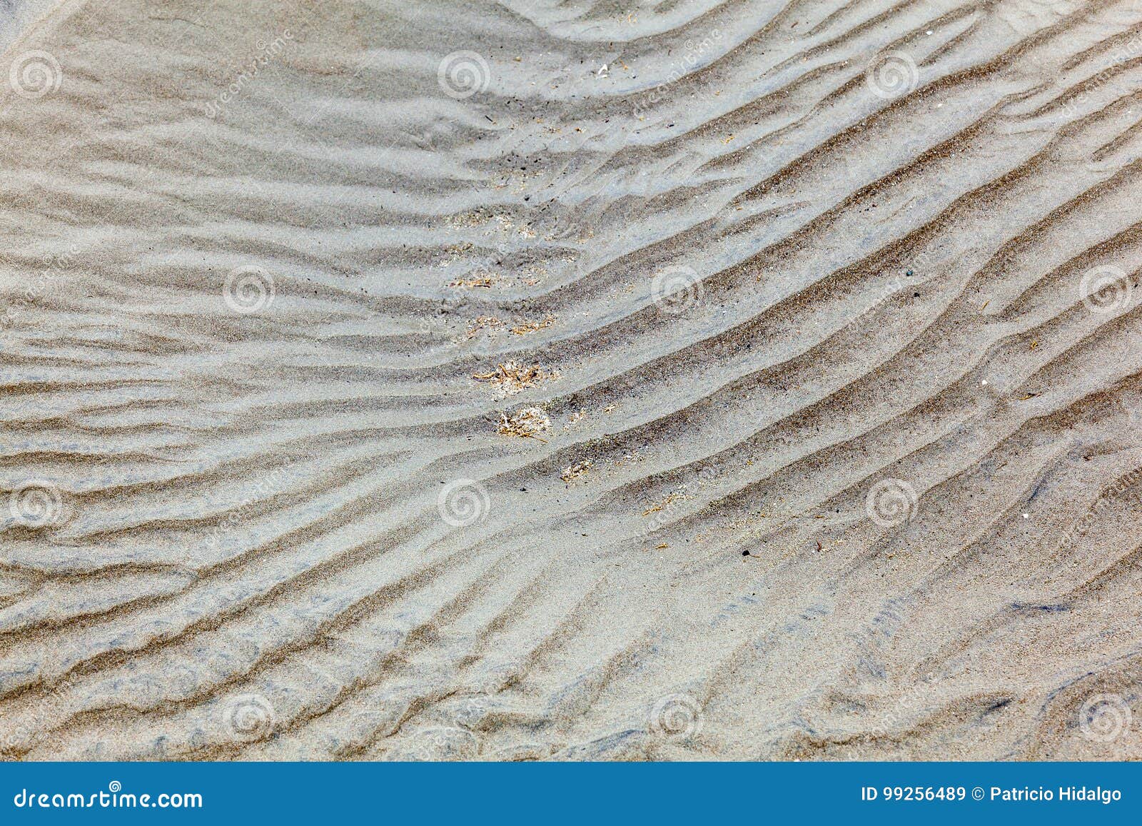 Textures and reliefs stock image. Image of shore, white - 99256489