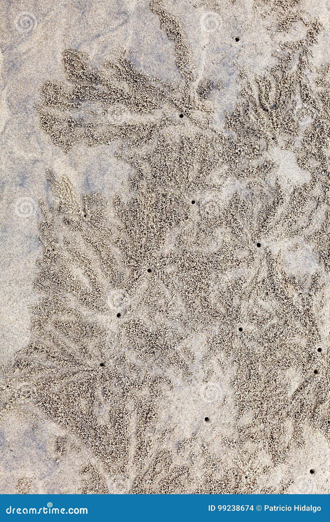 Textures and reliefs stock photo. Image of coast, natural - 99238674