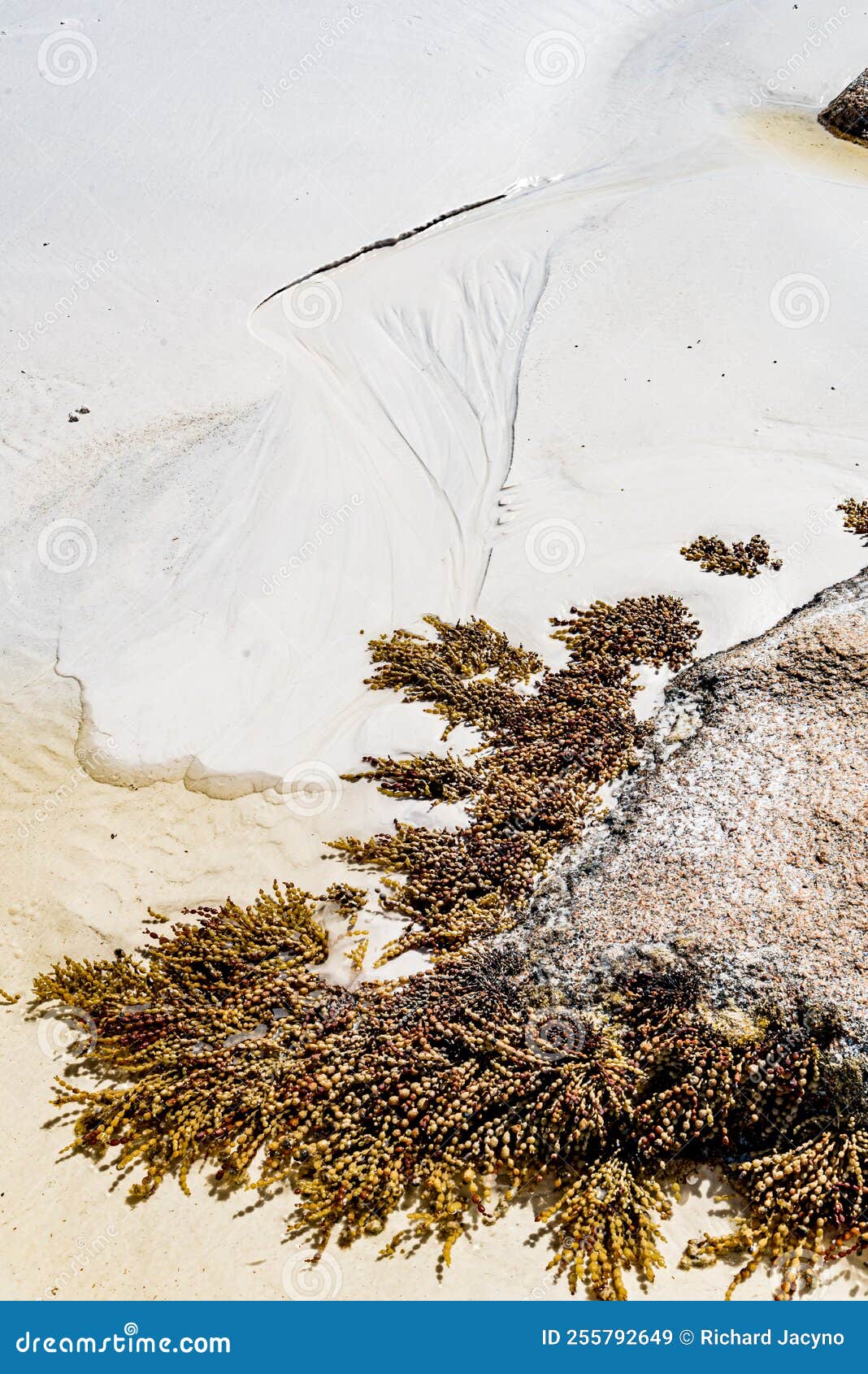 Textures in the Sand at Thistle Cove at Cape Le Grande, Esperance Stock ...