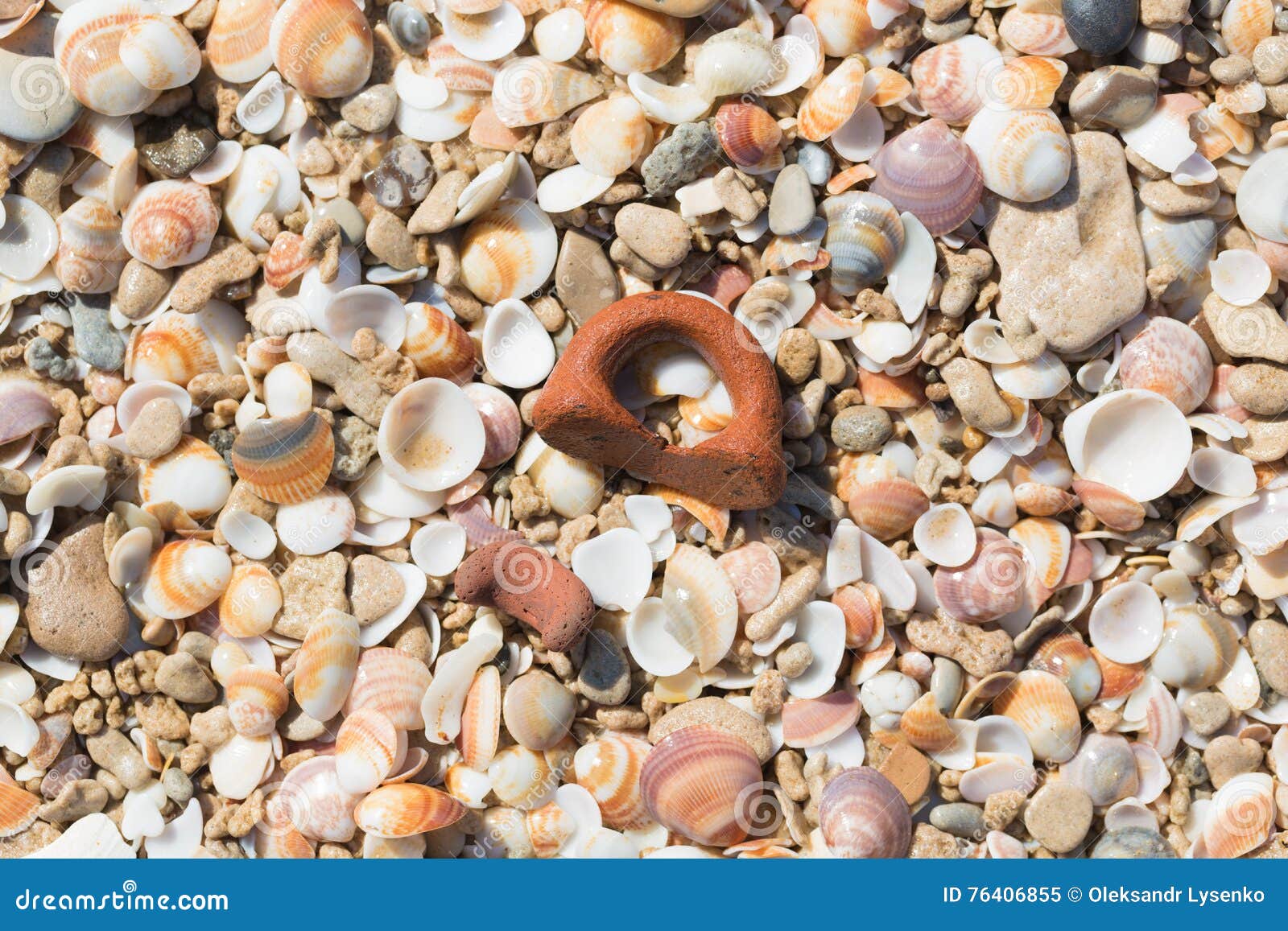 Textures sea shells stock image. Image of colorful, group - 76406855