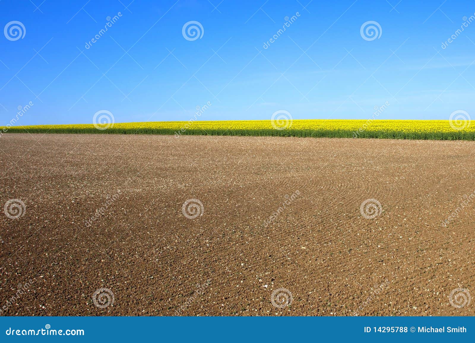 Textures and Shapes in a Landscape Stock Photo - Image of green ...