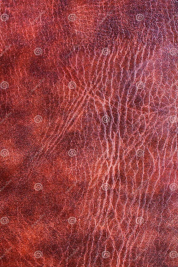 Textures skin artificial stock image. Image of artificial - 15486189