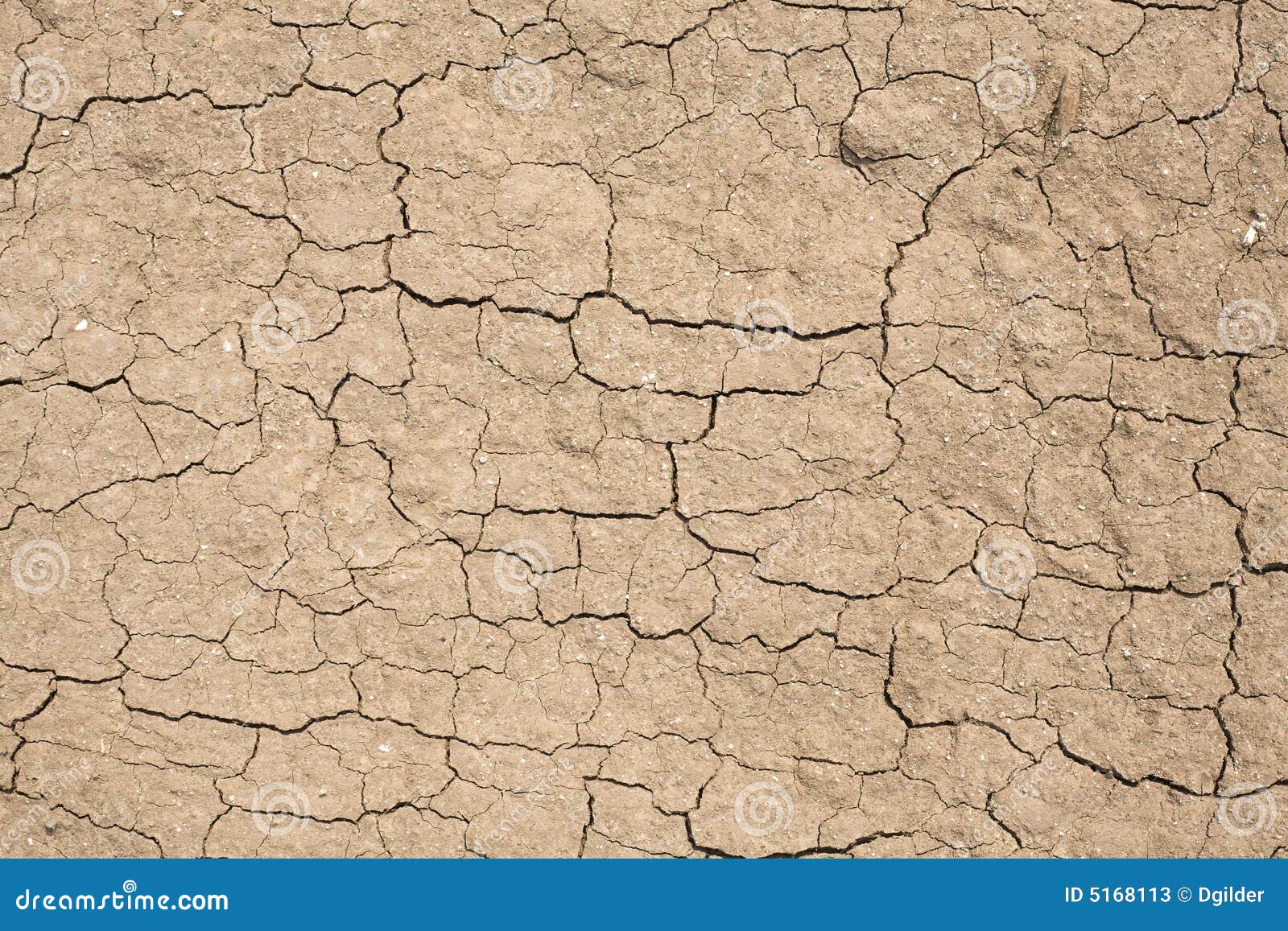 32,511 Cracked Dirt Texture Stock Photos - Free & Royalty-Free Stock ...