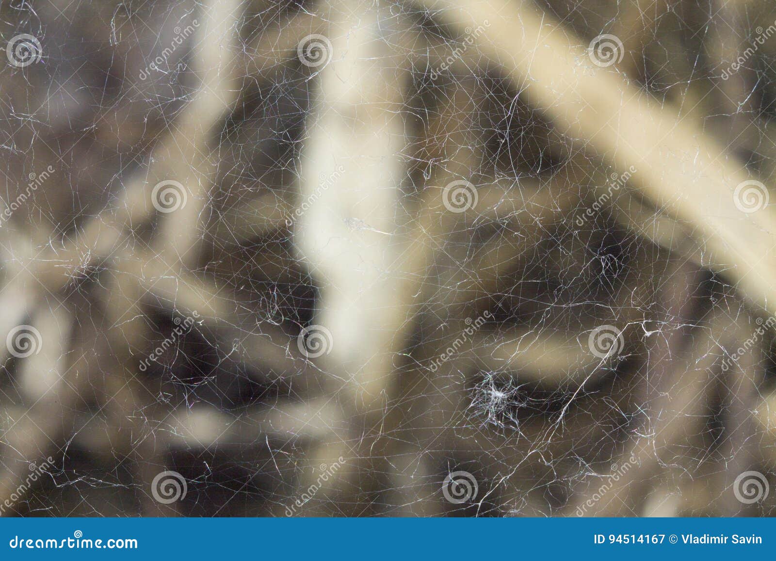 Textures spider web 2 stock image. Image of decoration - 94514167
