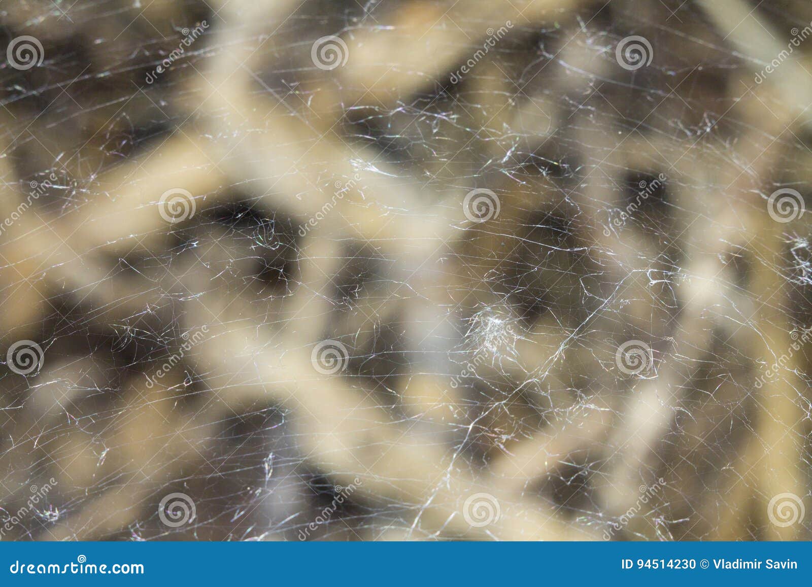 Textures spider web 1 stock photo. Image of closeup, decoration - 94514230