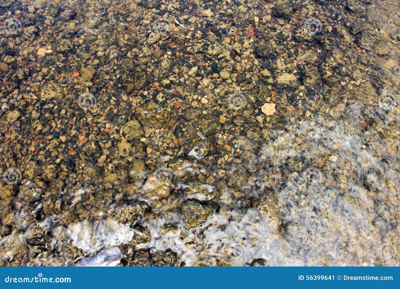 Royalty Free Images, Cartoons, Illustrations And Photos Designed By ...