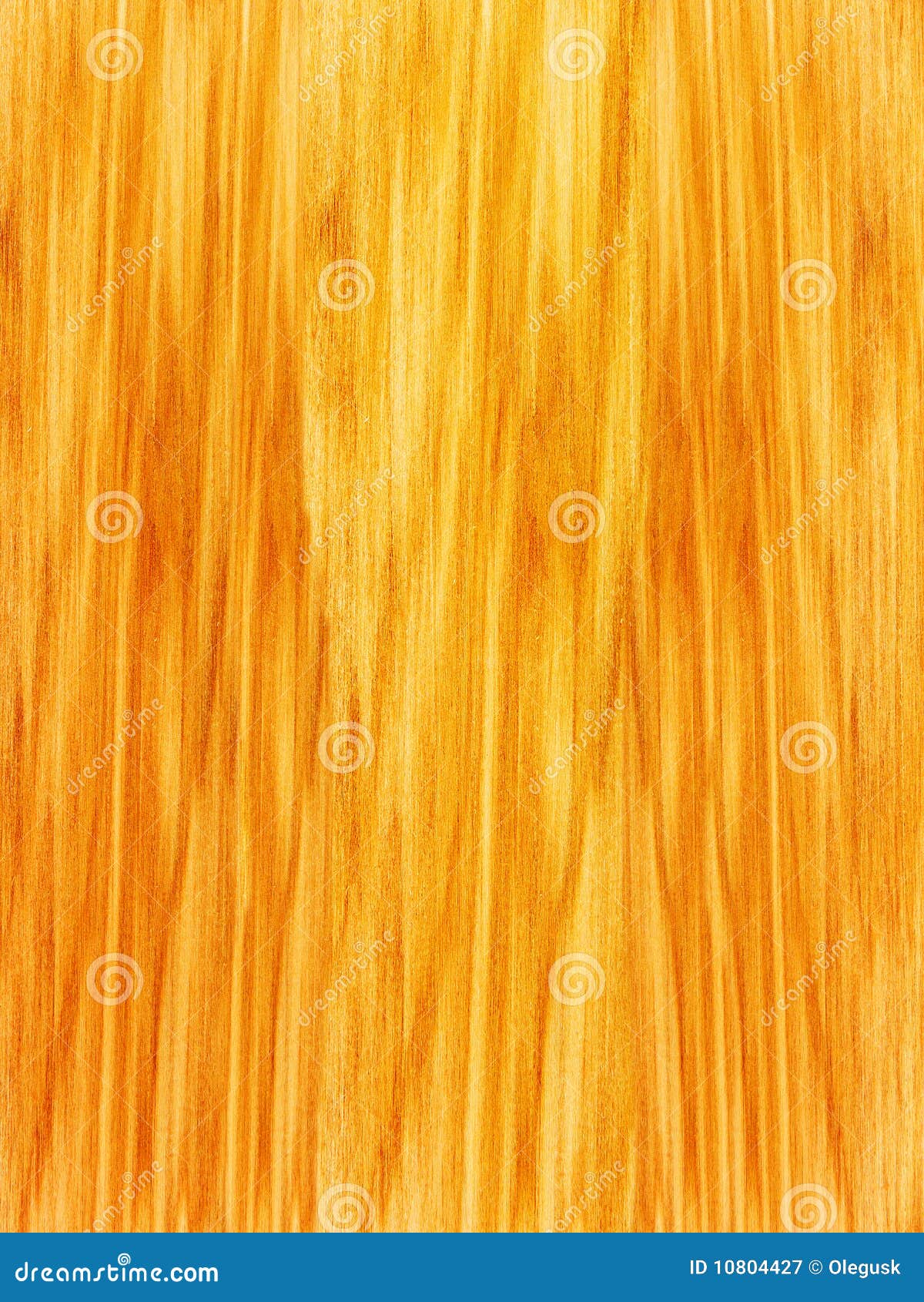 Textures tree maple stock image. Image of surface, smooth - 10804427