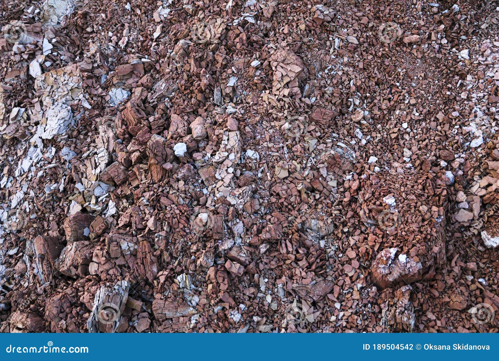 Textures of Various Clay Layers Underground in Clay Quarry after ...