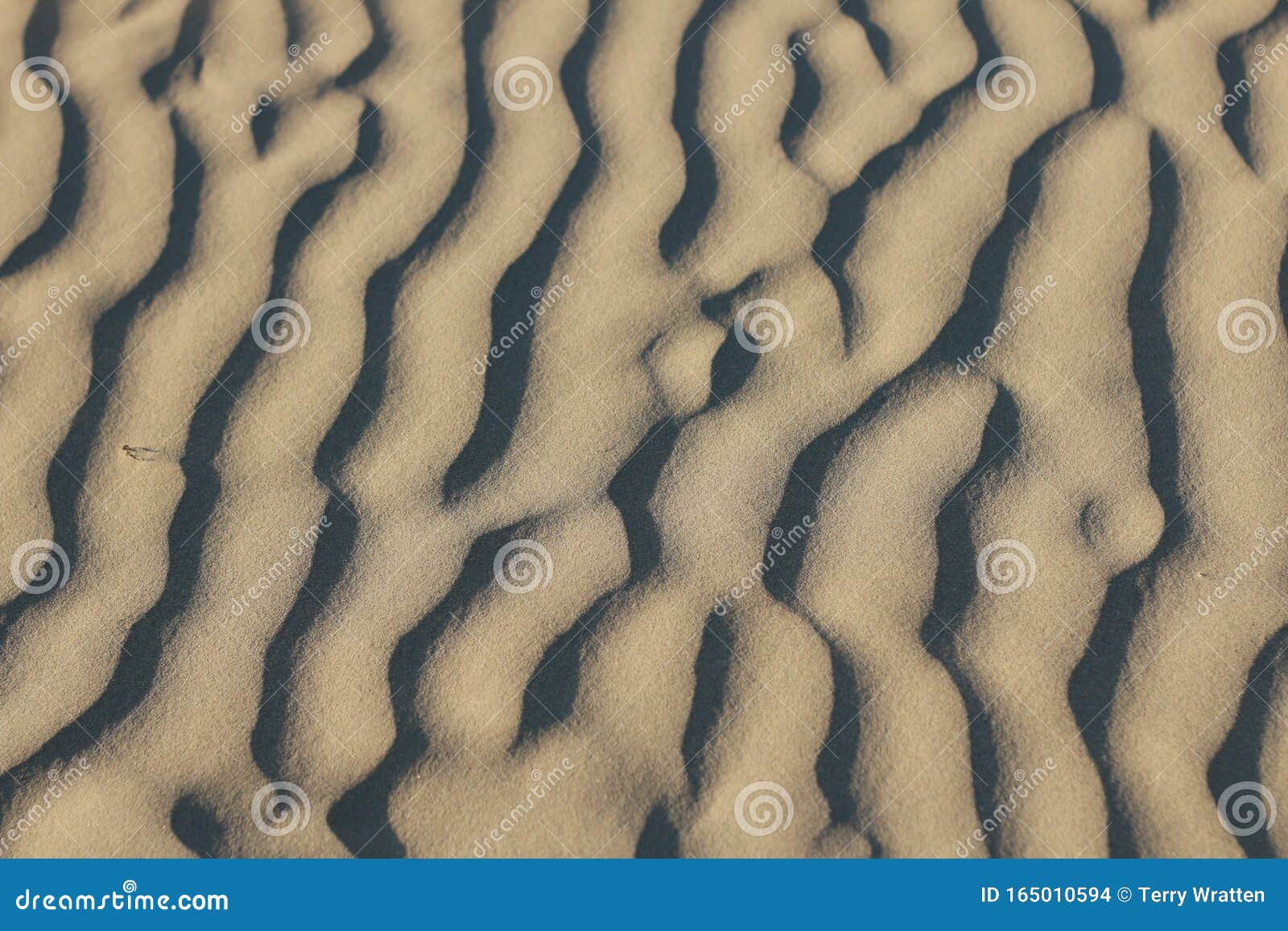 Textures of Wind Blown Natural Patterns in the Sand Dunes on a Sunny ...