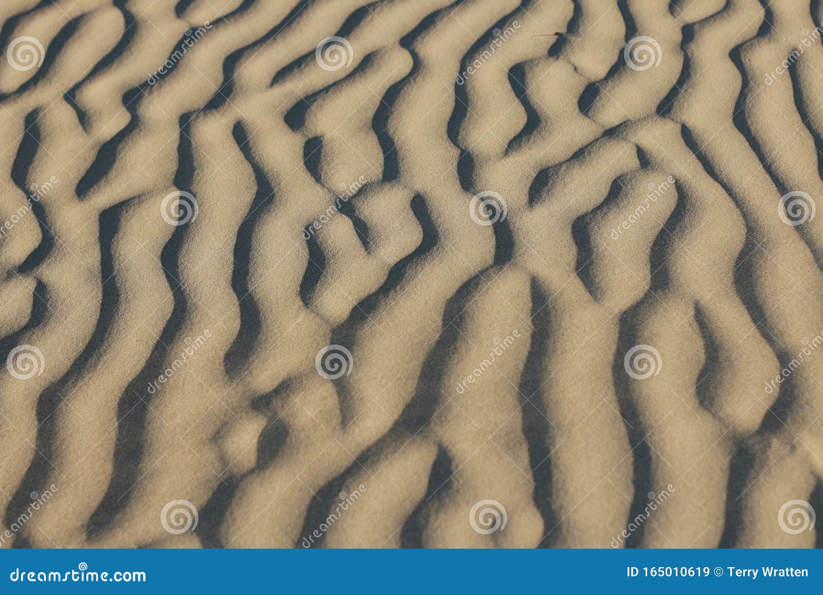Textures of Wind Blown Natural Patterns in the Sand Dunes on a Sunny ...