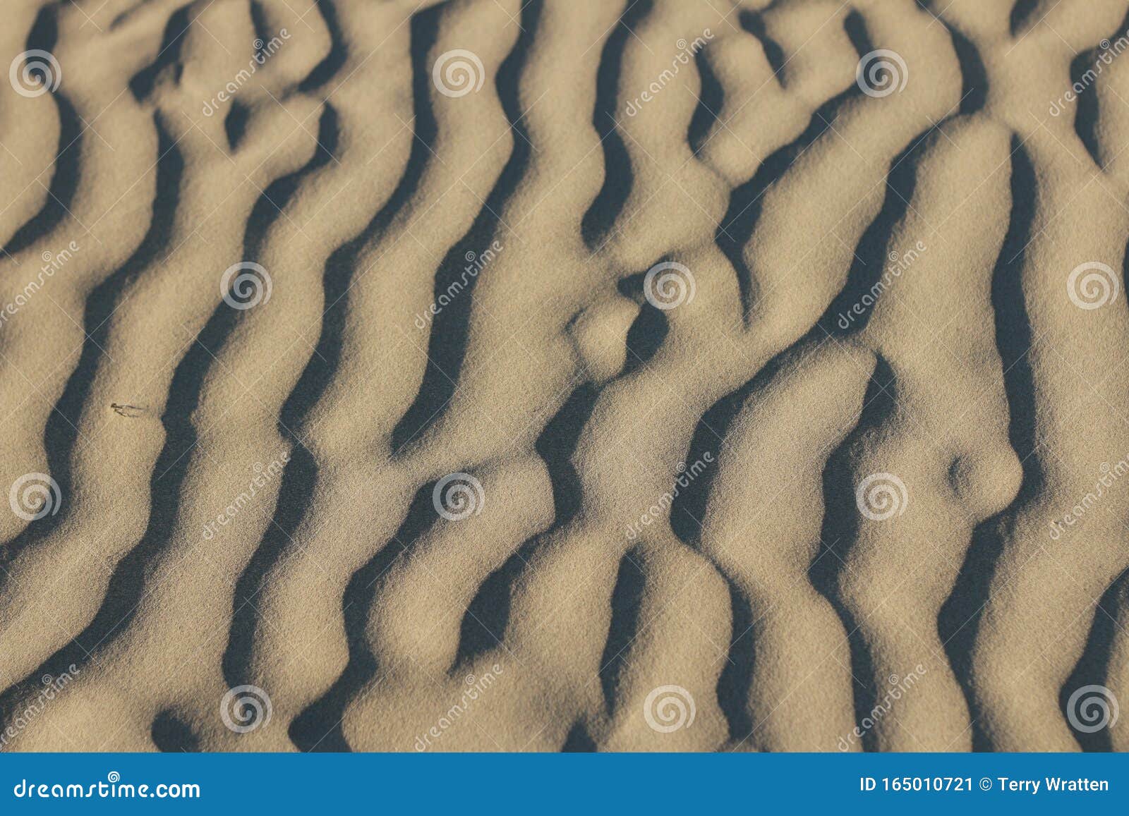 Textures Of Wind Blown Patterns In The Sand Dunes On A Sunny Beach ...