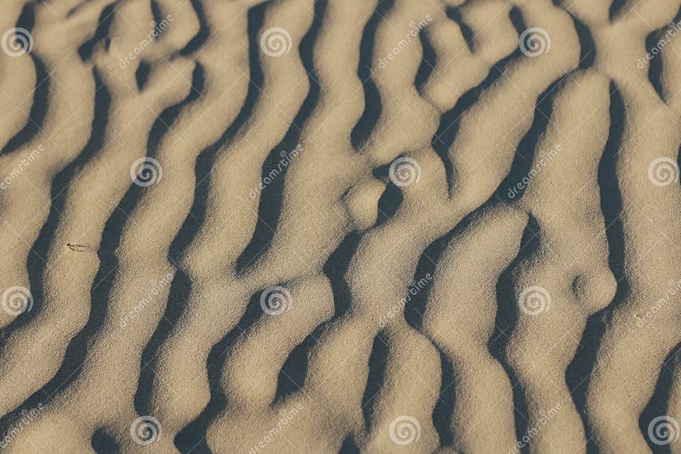 Textures of Wind Blown Patterns in the Sand Dunes on a Sunny Beach ...