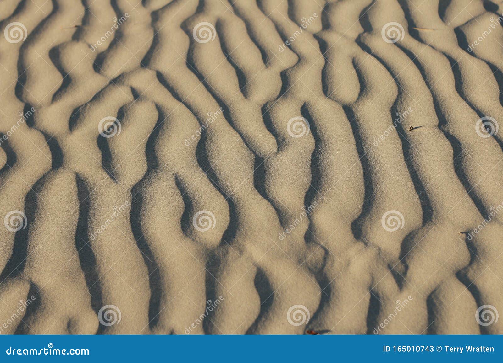 Textures Of Wind Blown Natural Patterns In The Sand Dunes On A Sunny ...