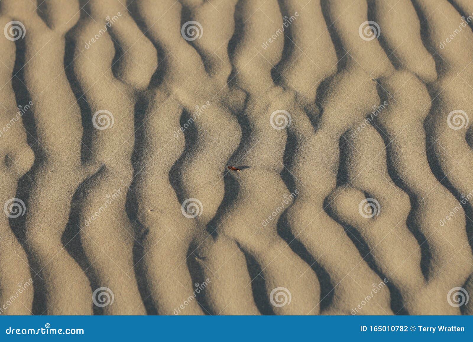 Textures Of Wind Blown Natural Patterns In The Sand Dunes On A Sunny ...