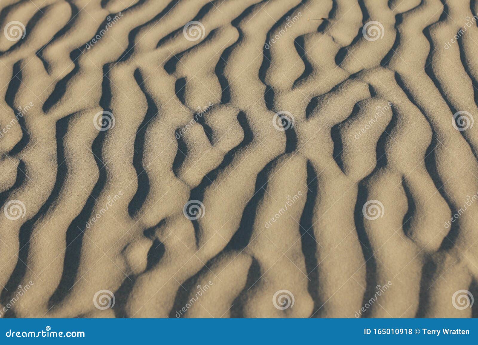 Textures Of Wind Blown Natural Patterns In The Sand Dunes On A Sunny ...
