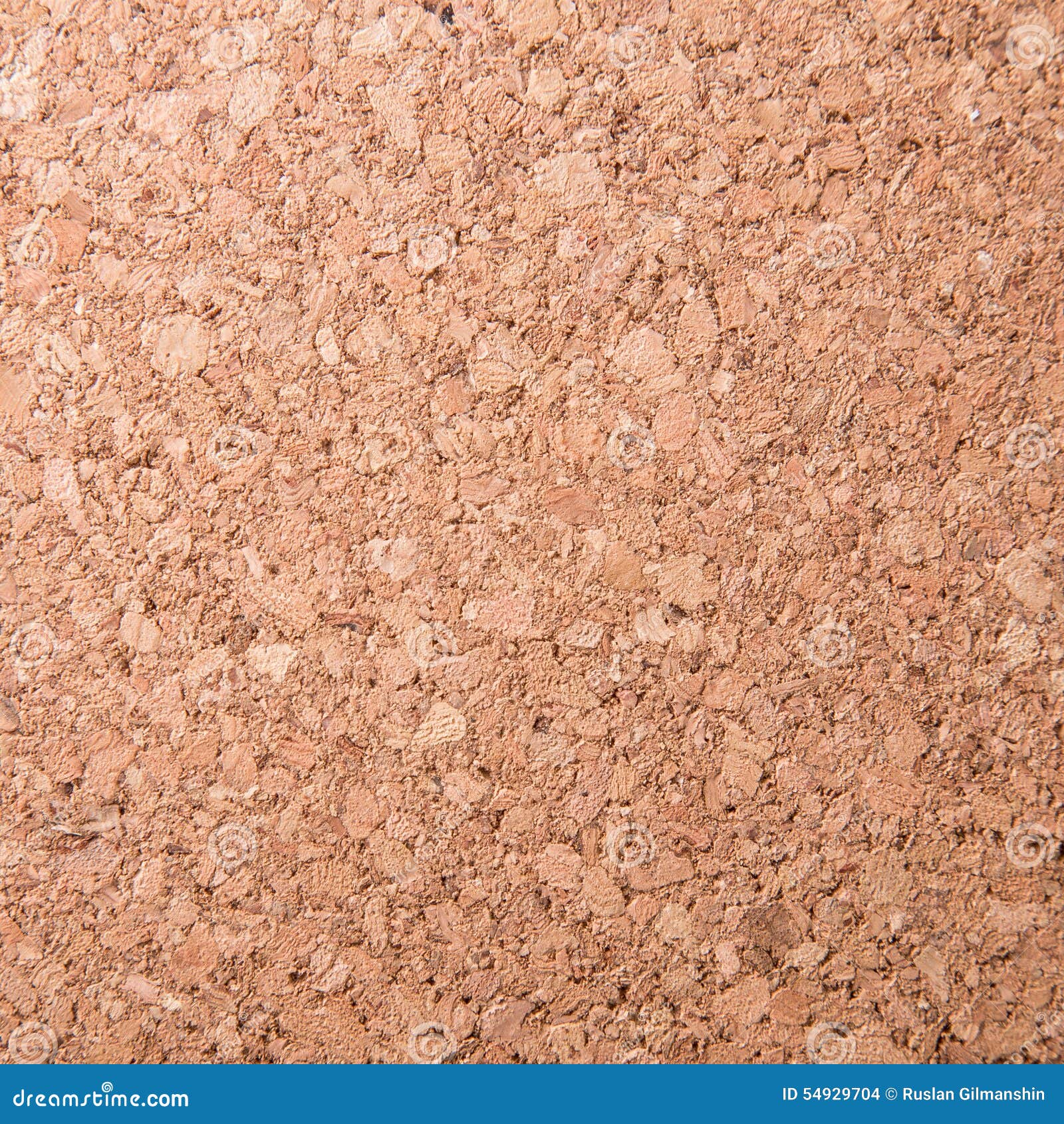 Texturice El árbol De Corcho Fondo Foto de archivo - Imagen de contexto ...