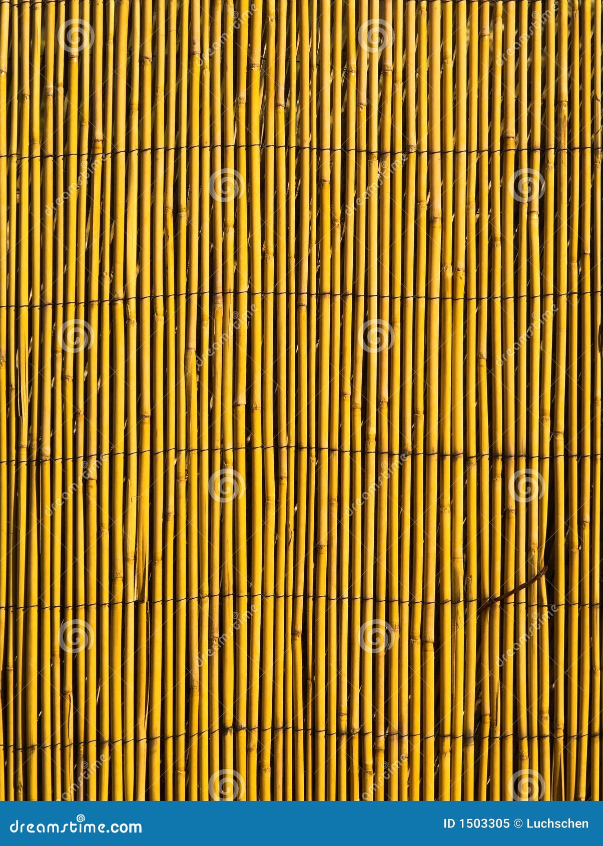 Textuur stock afbeelding. Image of riet, bescherming, bamboe - 1503305