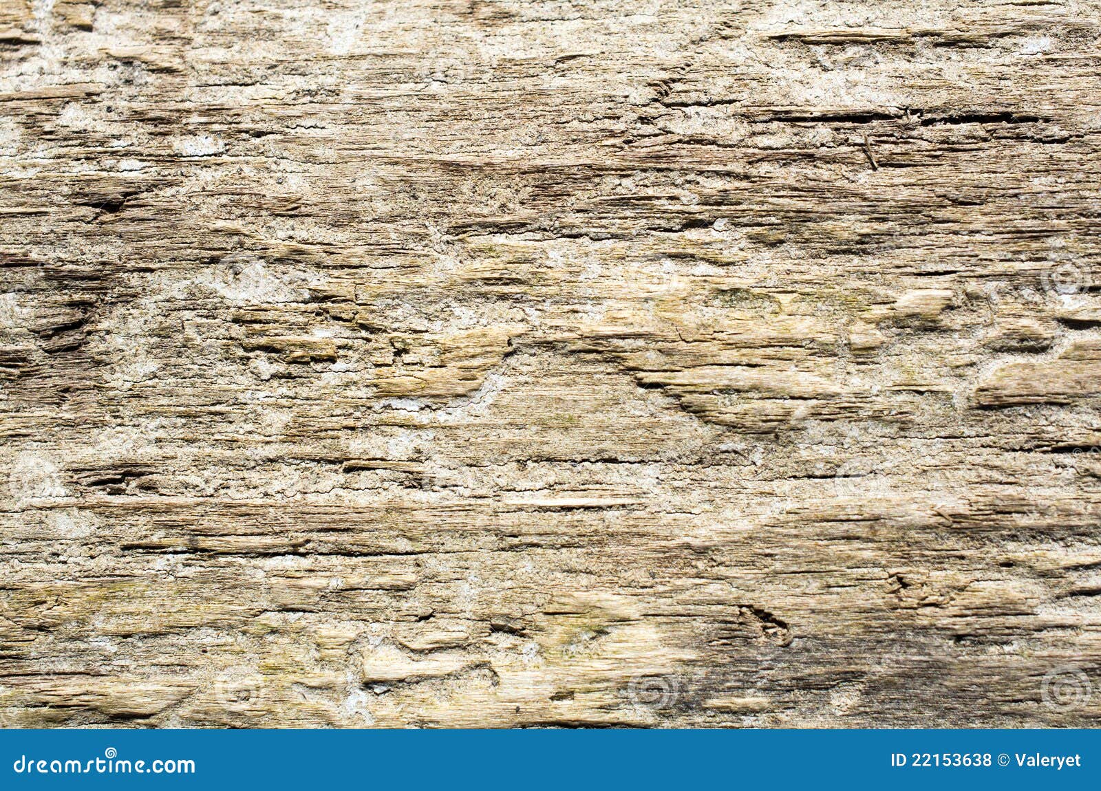 Textuur van oud hout stock foto. Image of samenvatting - 22153638