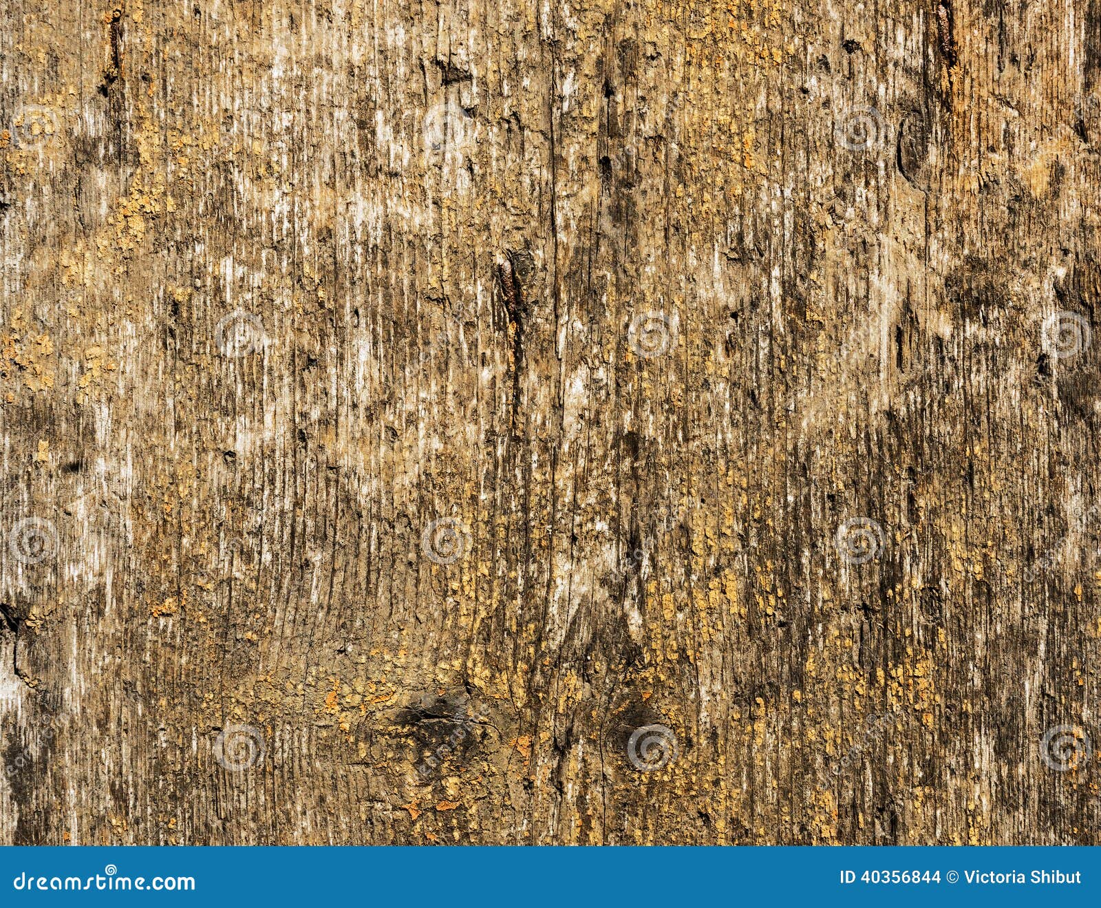 Textuur Van Oud Lichtbruin Hout Stock Foto - Image of macro, boom: 40356844