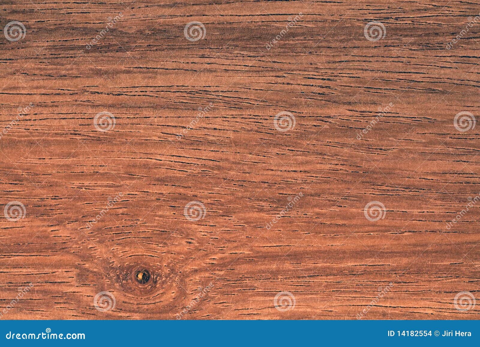 Textuur van tropisch hout stock foto. Image of meer, horizontaal - 14182554