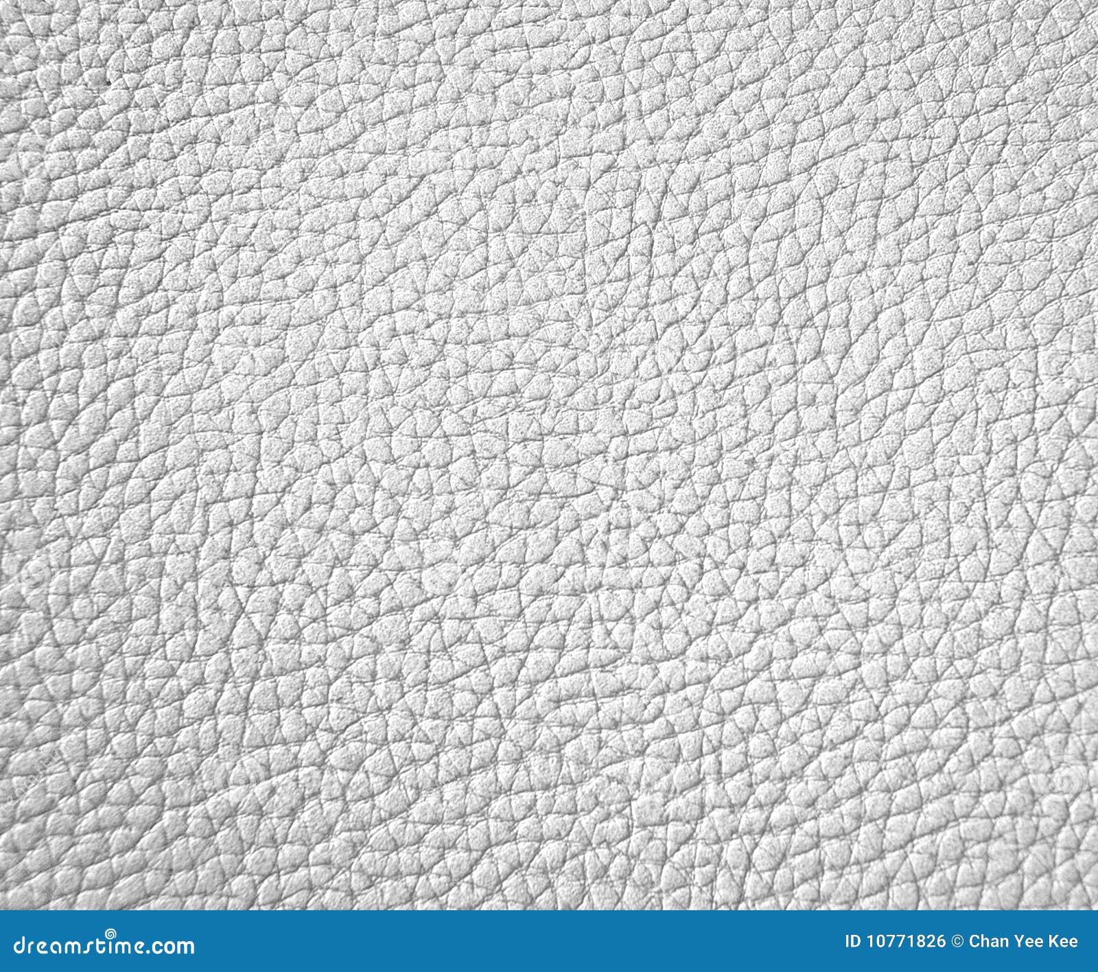 Textuur van wit leer stock foto. Image of doek, ontwerp - 10771826