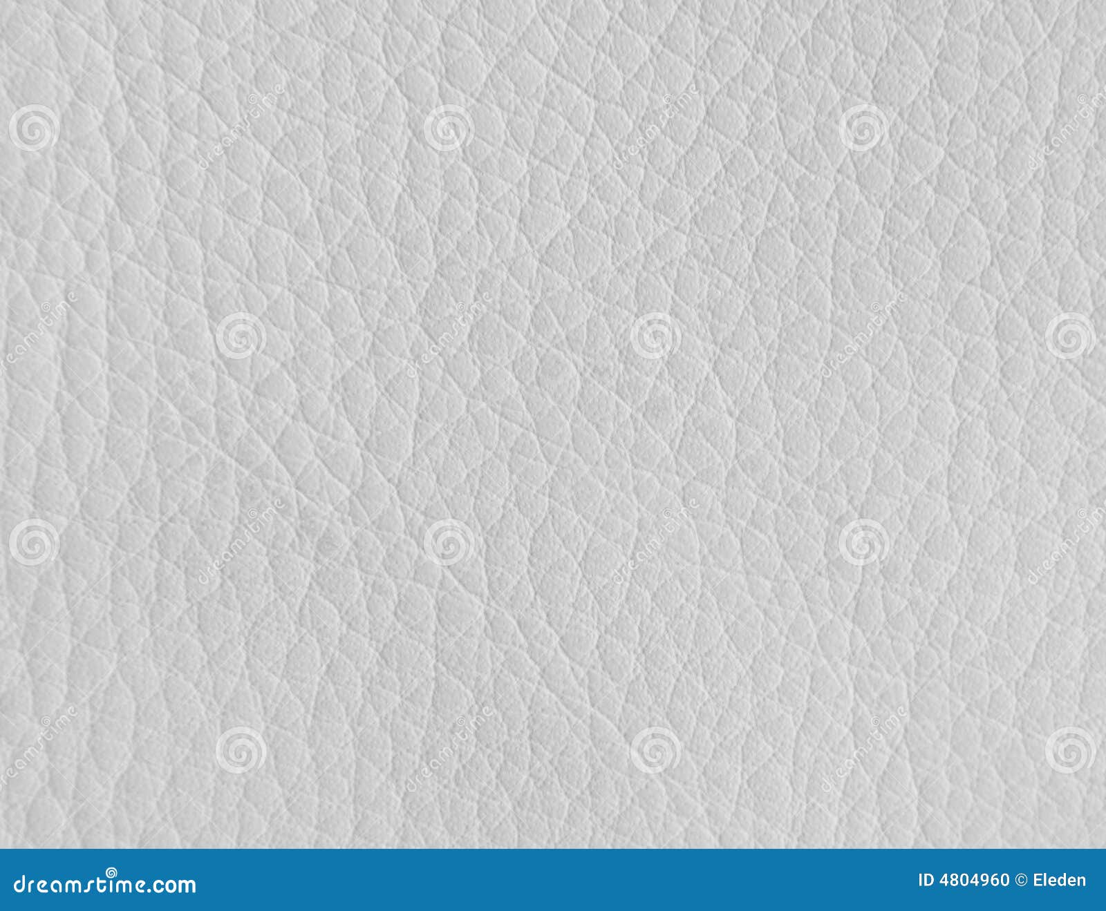 Textuur van wit leer stock foto. Image of leer, dier, kleur - 4804960
